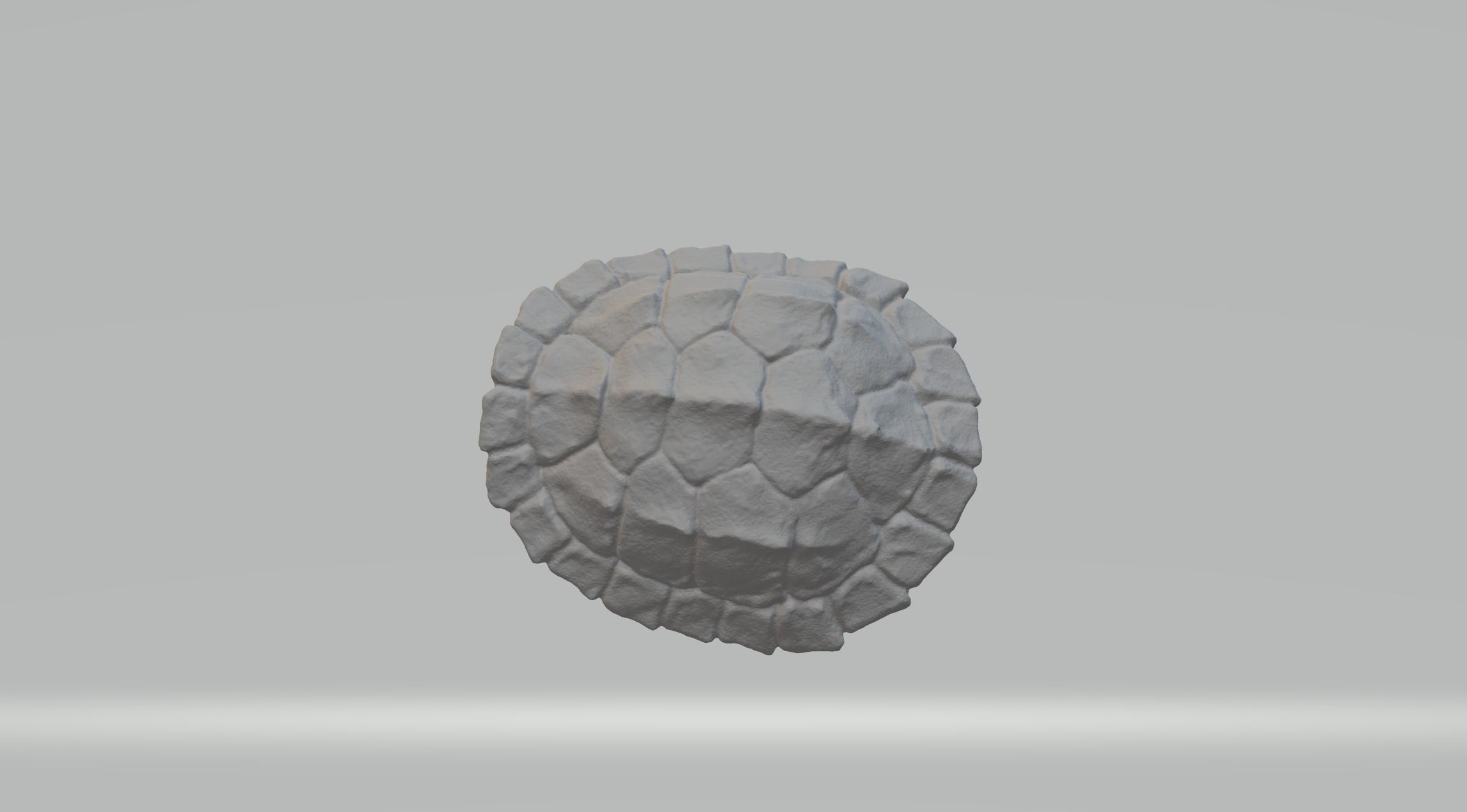 Turtle Shell 3D model 3D printable | CGTrader