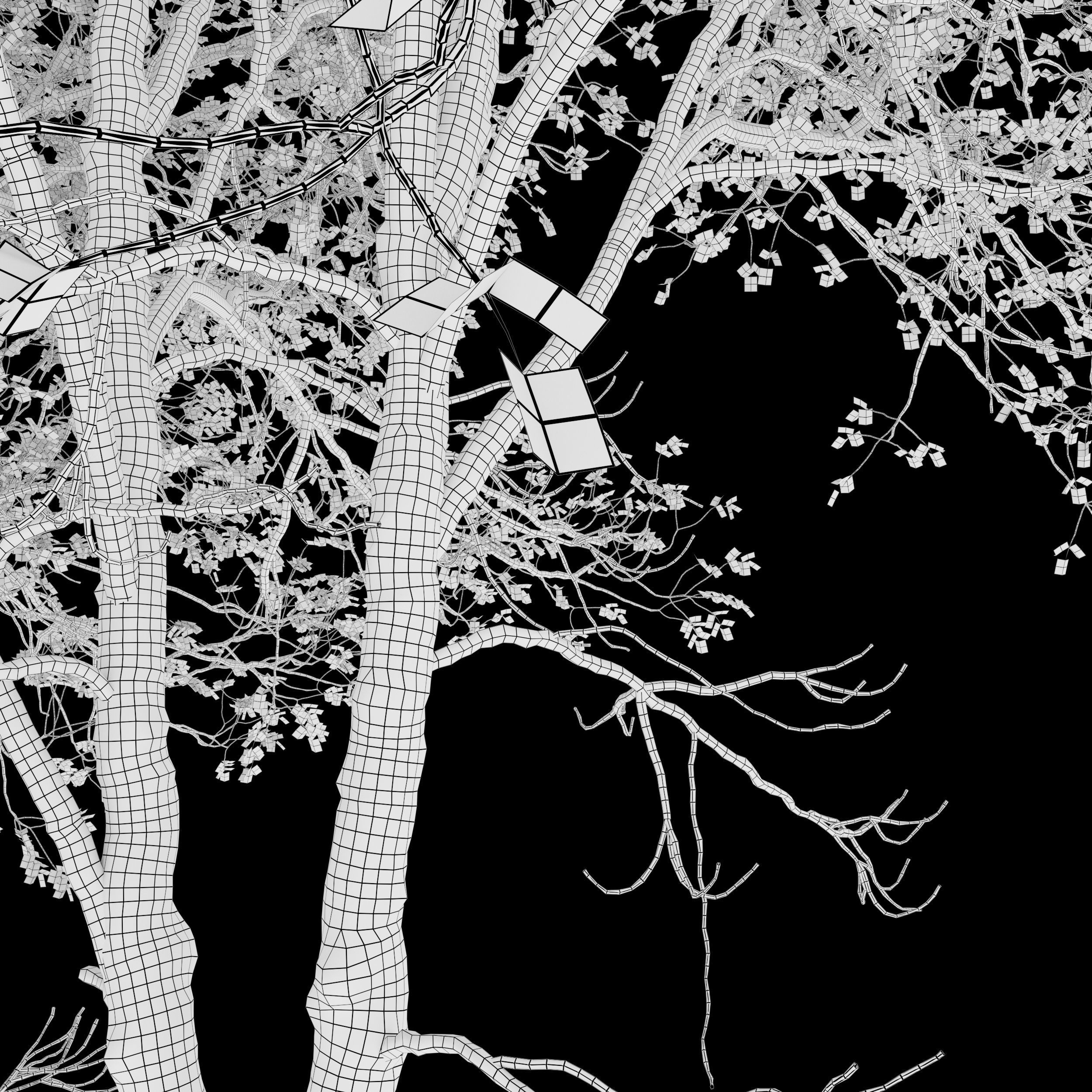 Hackberry tree 02 3D model | CGTrader