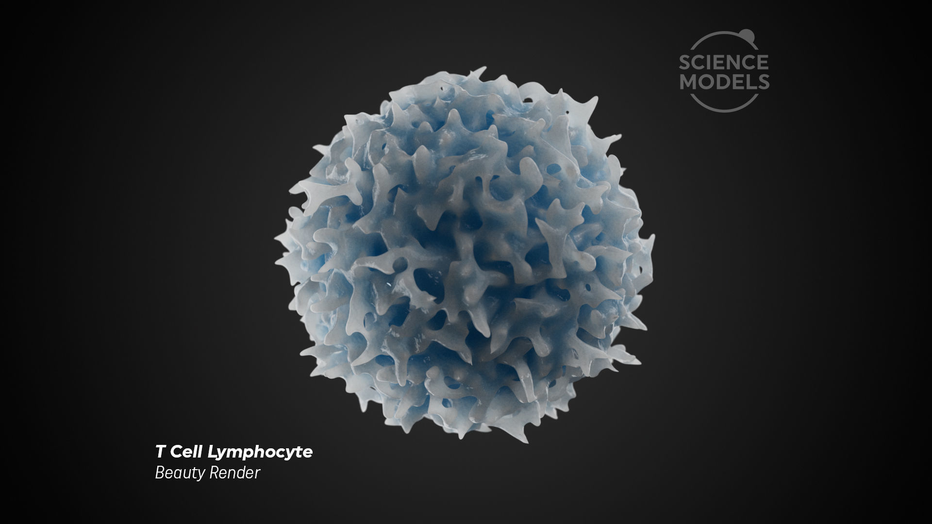 T Cell Lymphocyte 3D model | CGTrader