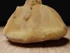 Italian Rosetta Bread 3D model | CGTrader
