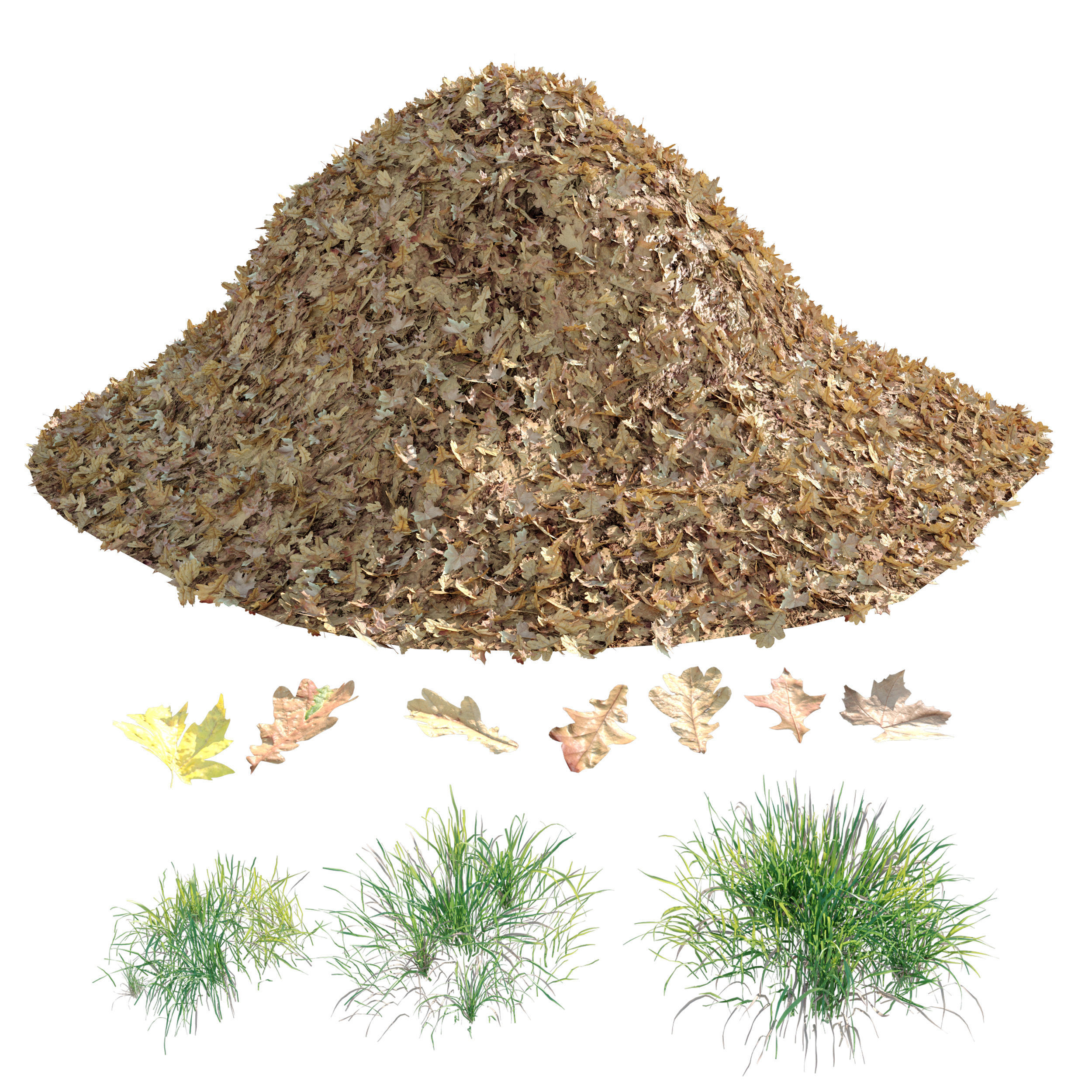 Grass field collection | CGTrader