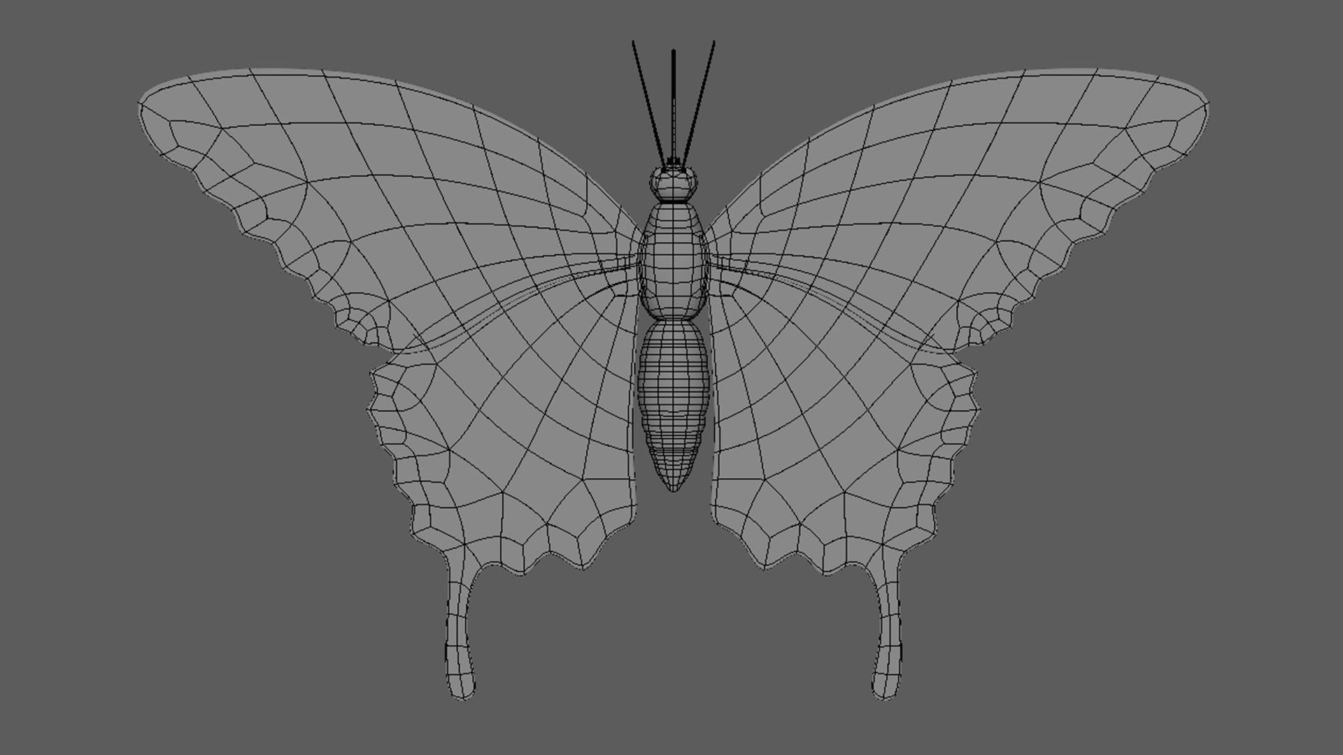 Butterfly 3D Model colorful 3D model | CGTrader