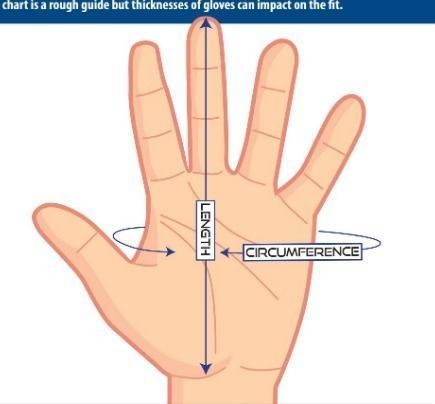 Precision grip 3D model | CGTrader