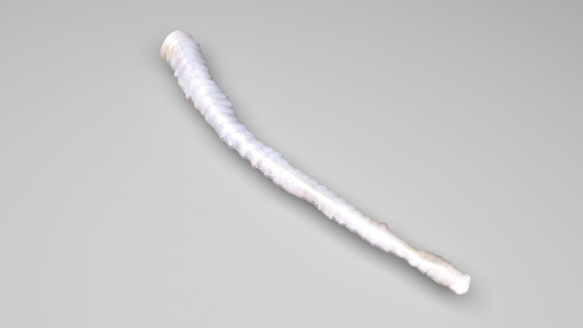 Tapeworm 3D model | CGTrader