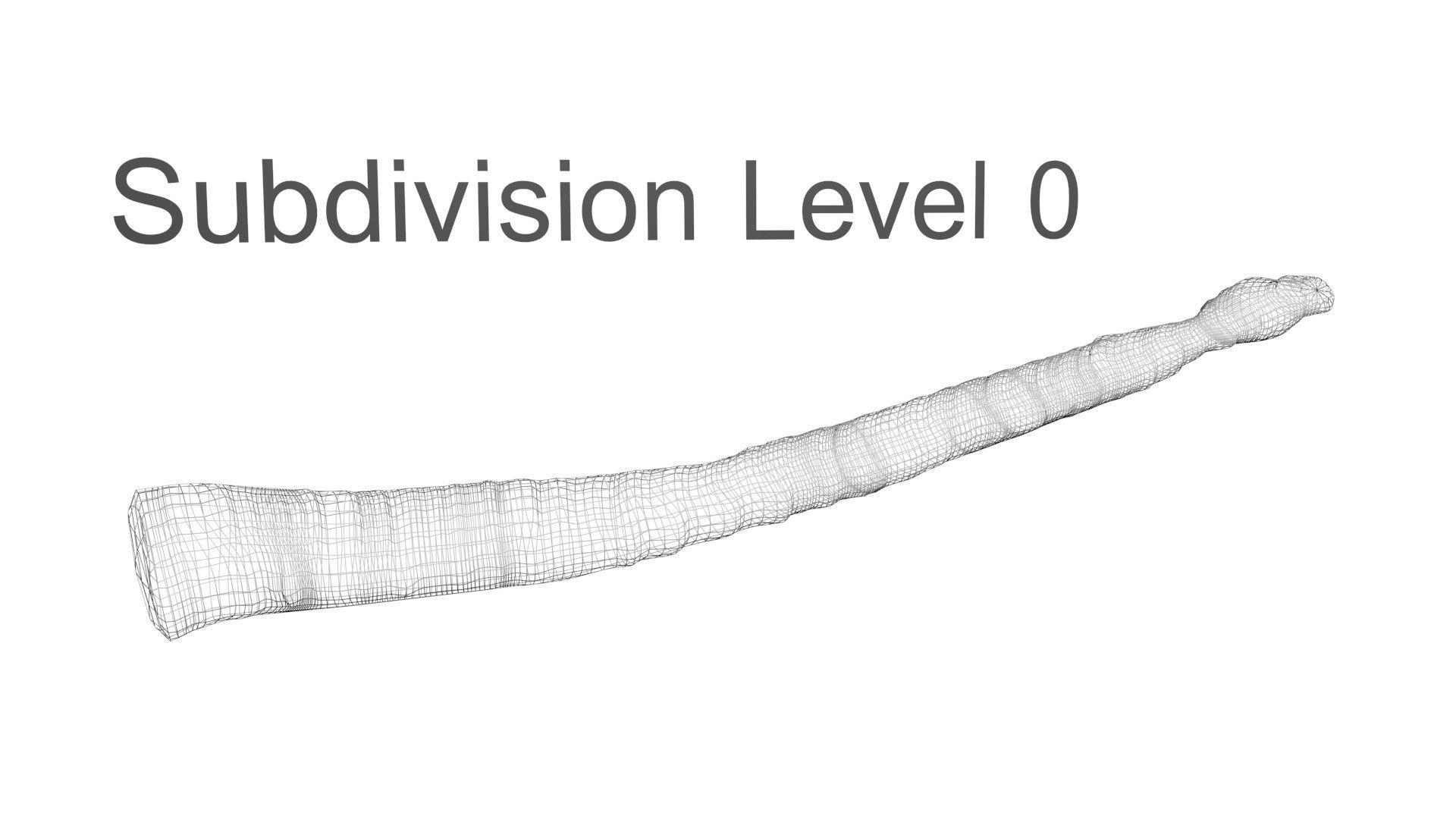 Tapeworm 3D model | CGTrader