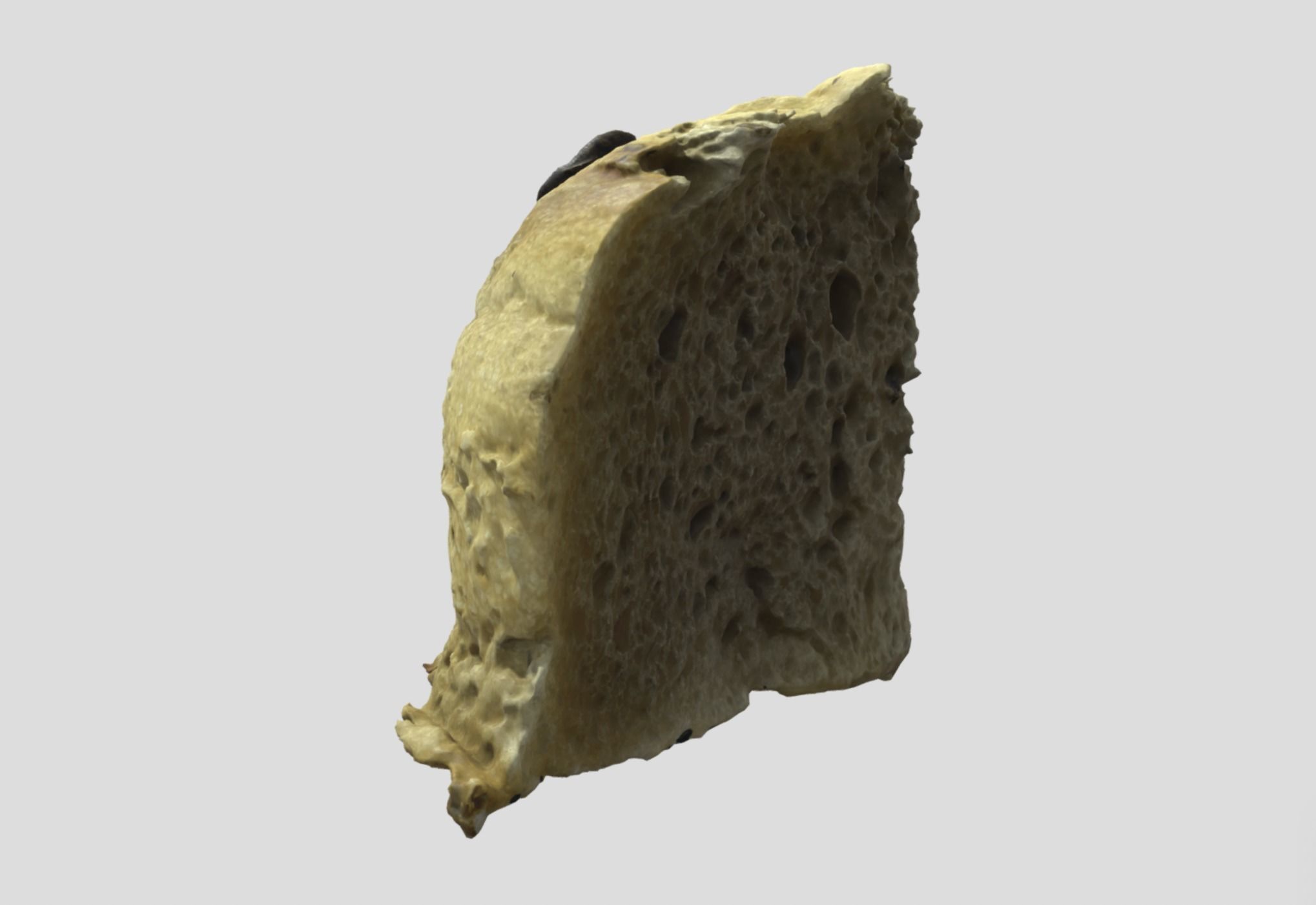 Olive bread slice 3D model | CGTrader