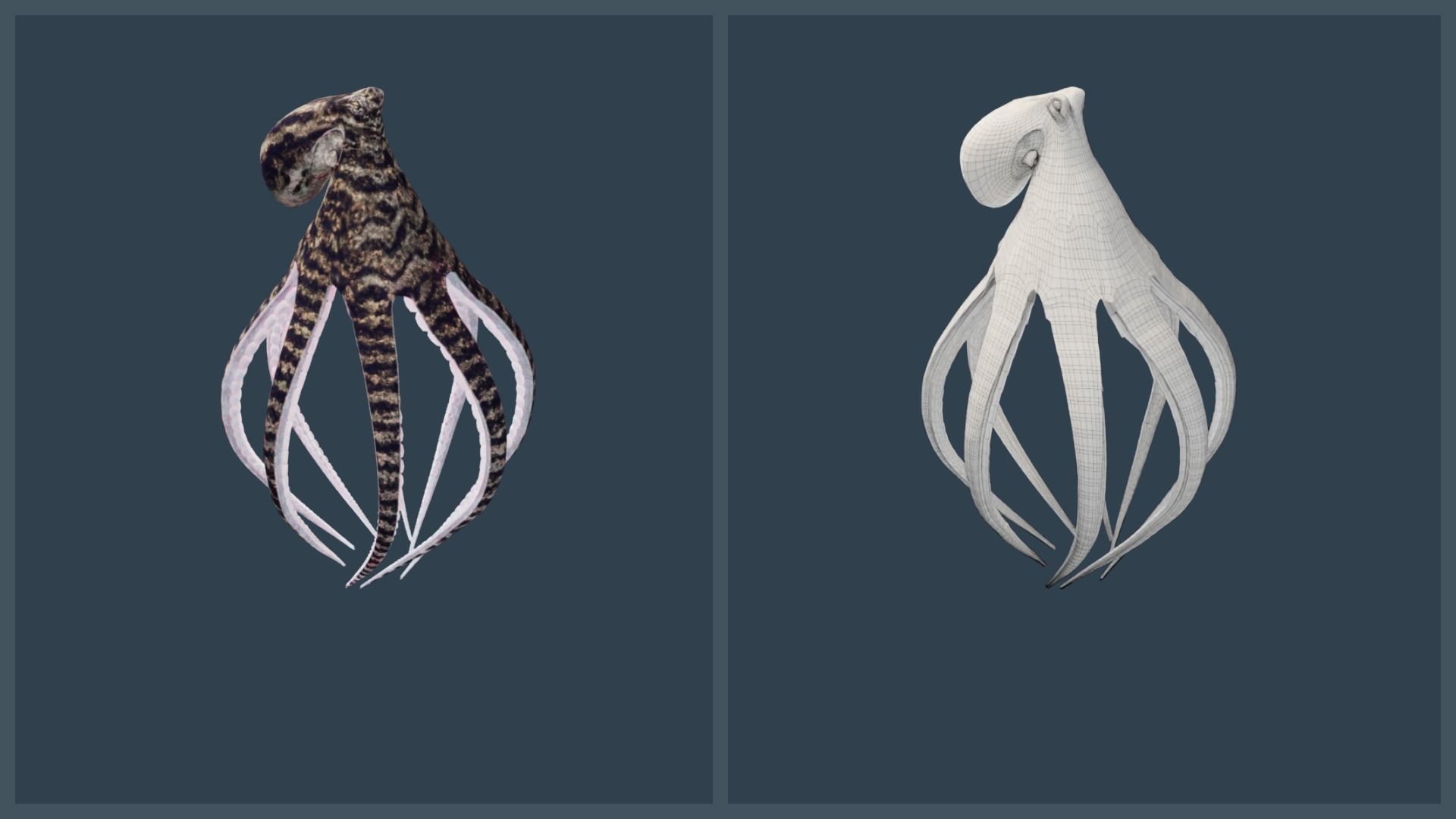 3d Model Animated Mimic Octopus Vr Ar Low Poly Cgtrader