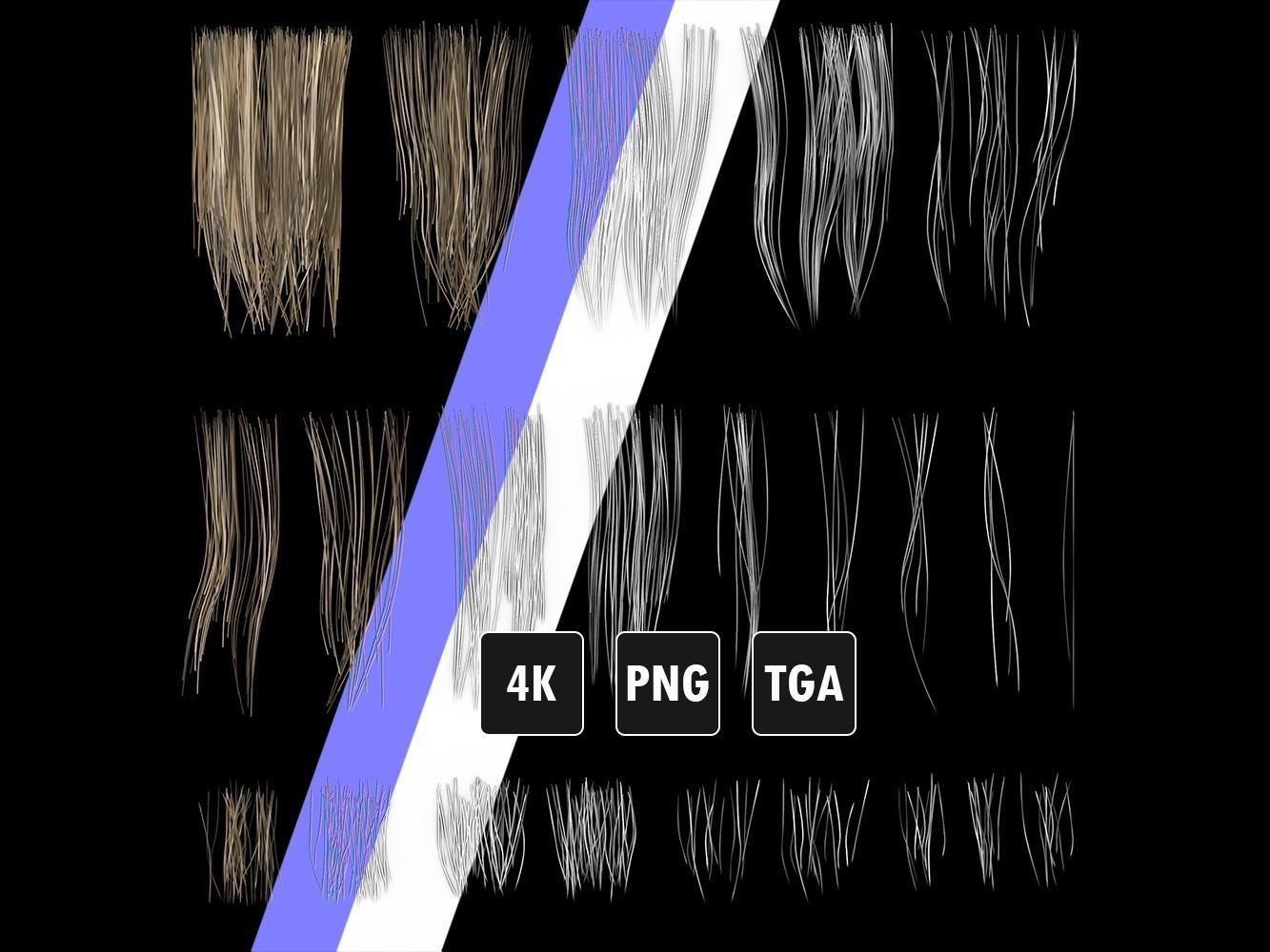 Hair Textures for Hair Cards 4K TGA PNG 3D model | CGTrader