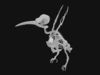 Hummingbird skeleton 3D model | CGTrader