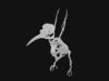 Hummingbird skeleton 3D model | CGTrader