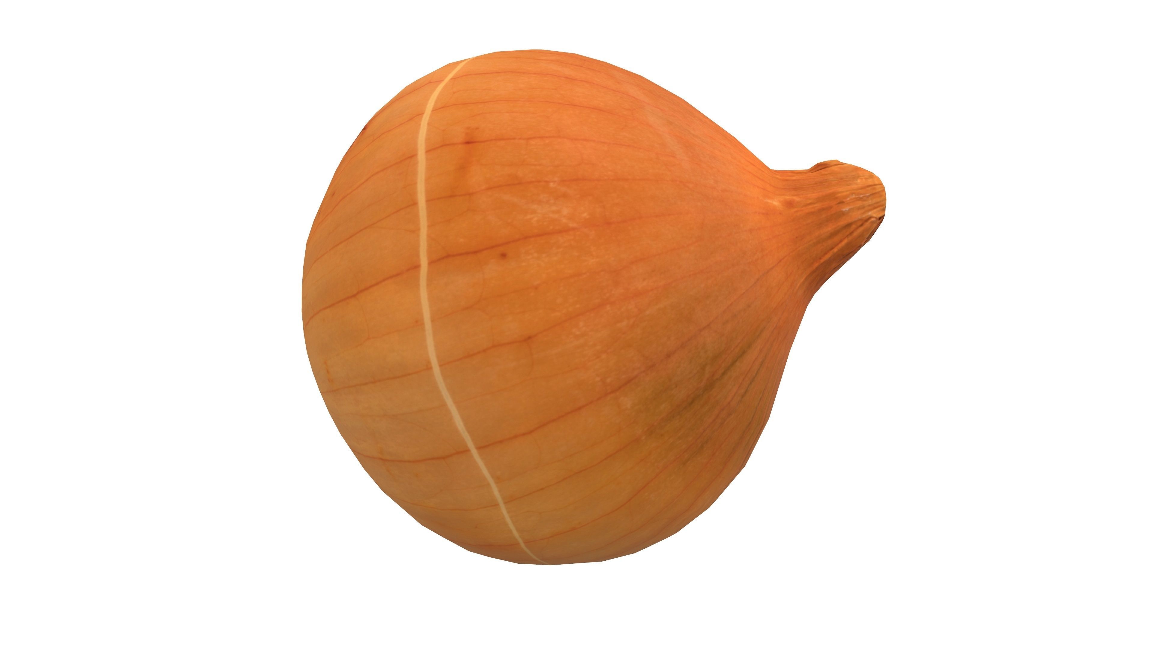 3D model Onion Vegetable 3D Model AR VR PBR VR / AR / low-poly | CGTrader