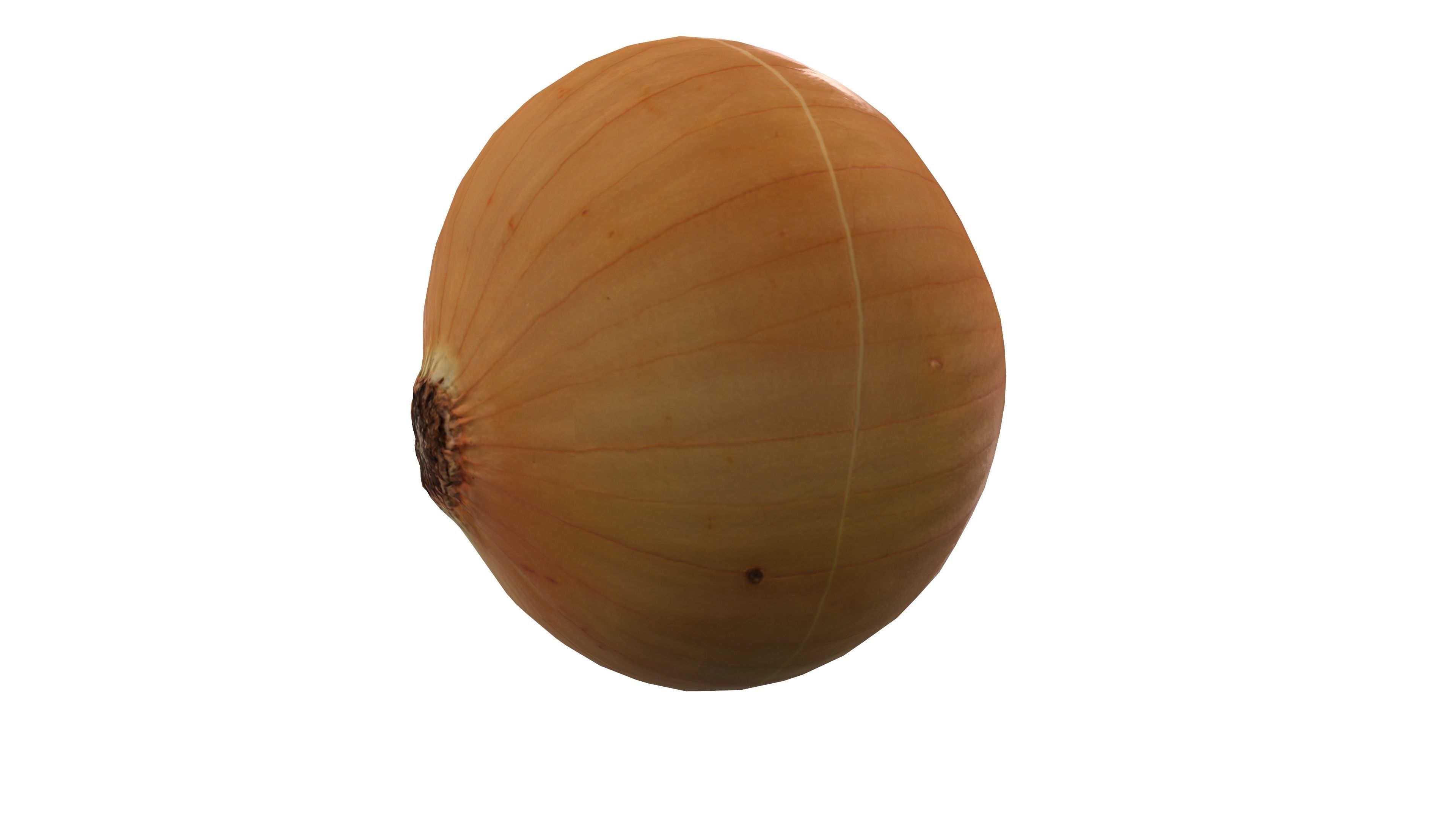 3D model Onion Vegetable 3D Model AR VR PBR VR / AR / low-poly | CGTrader