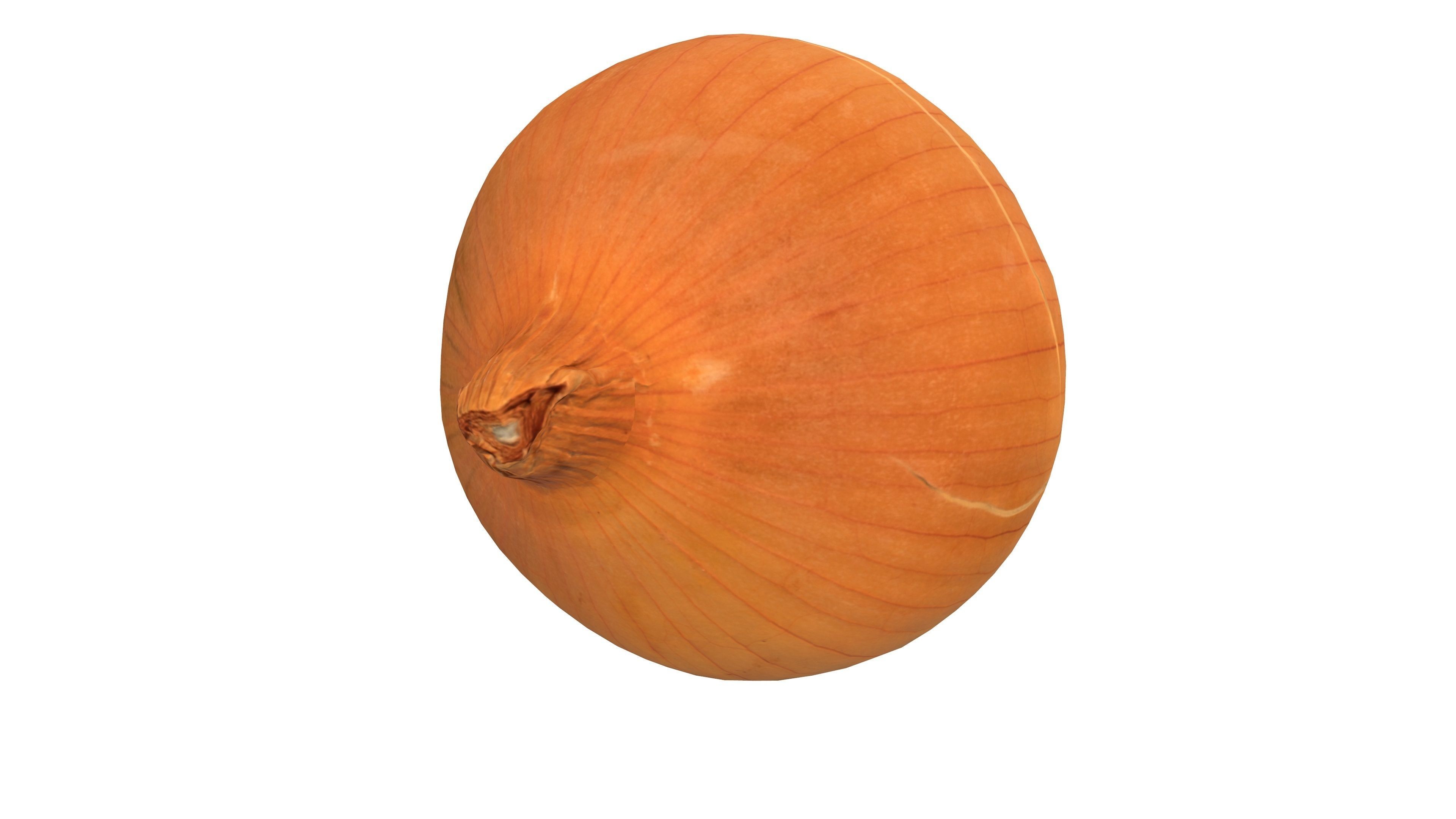 3D model Onion Vegetable 3D Model AR VR PBR VR / AR / low-poly | CGTrader
