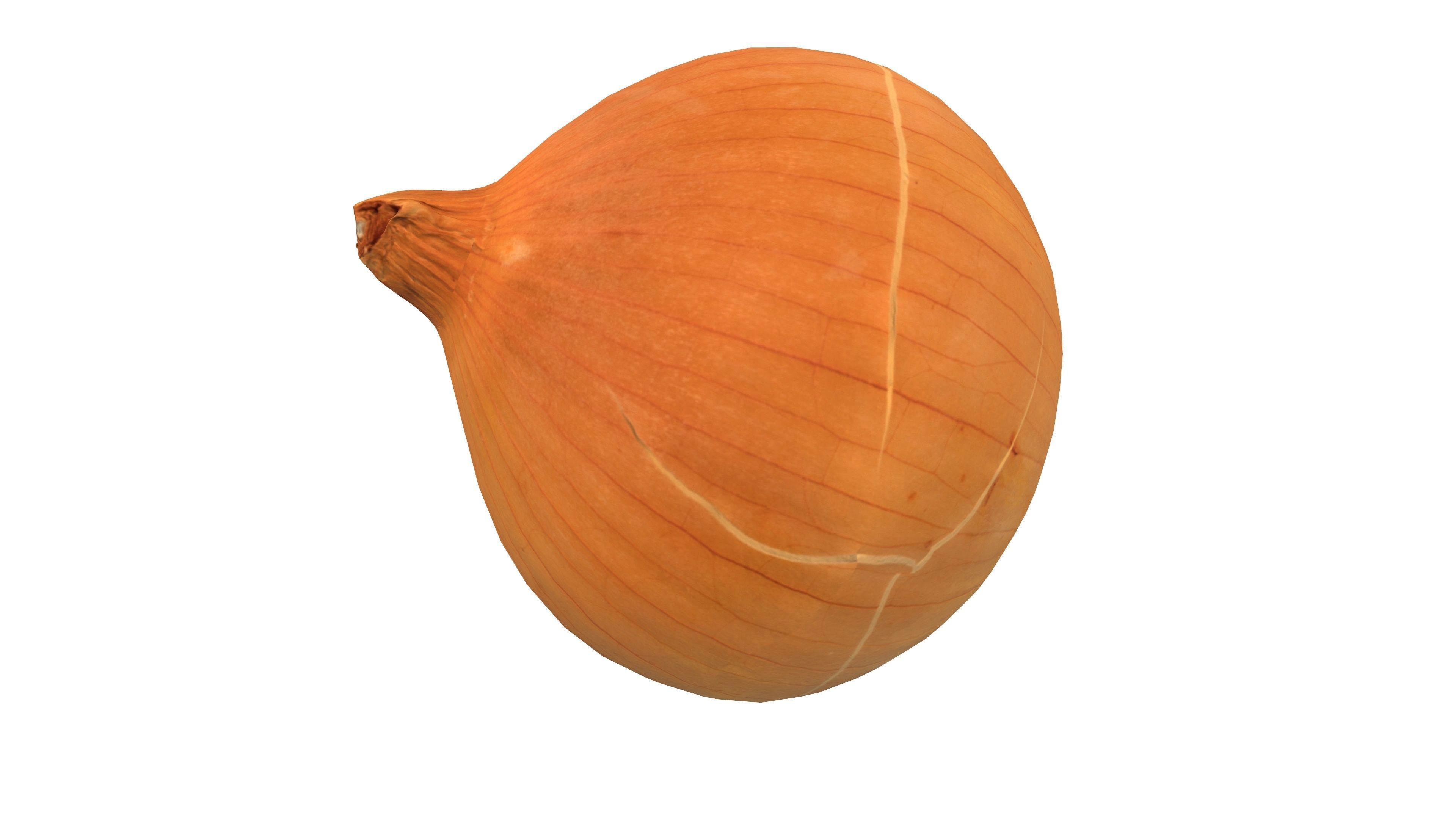 3D model Onion Vegetable 3D Model AR VR PBR VR / AR / low-poly | CGTrader