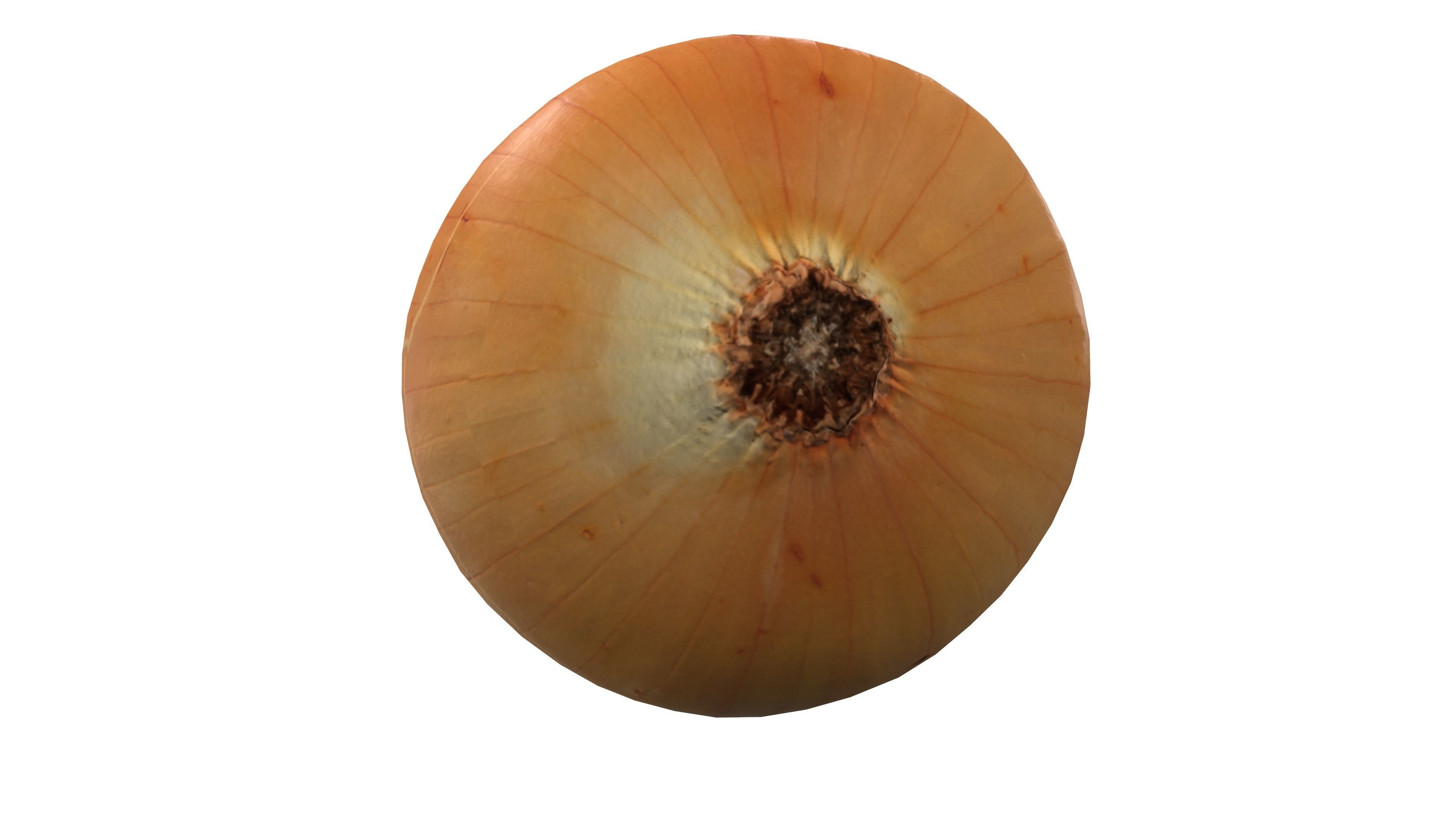 3D model Onion Vegetable 3D Model AR VR PBR VR / AR / low-poly | CGTrader