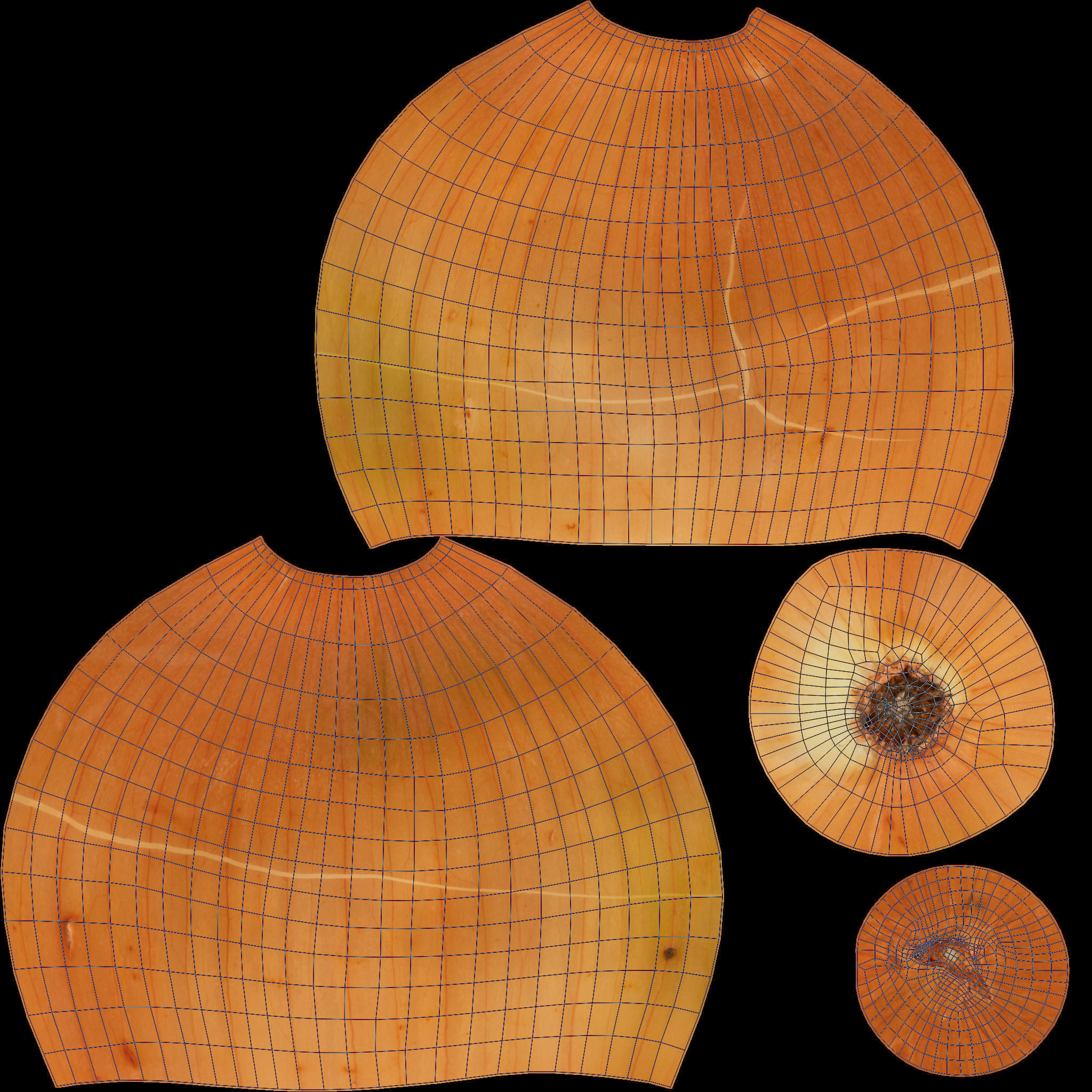 3D model Onion Vegetable 3D Model AR VR PBR VR / AR / low-poly | CGTrader