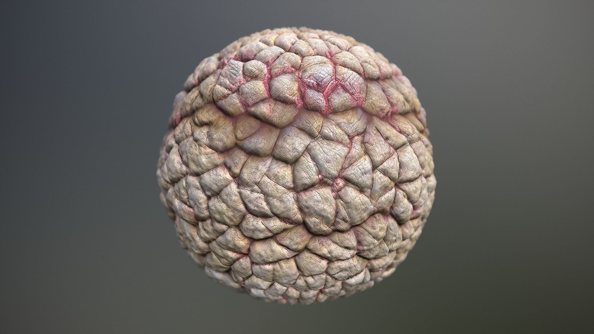 Material Skin Monster 37 Seamless PBR Texture Texture | CGTrader