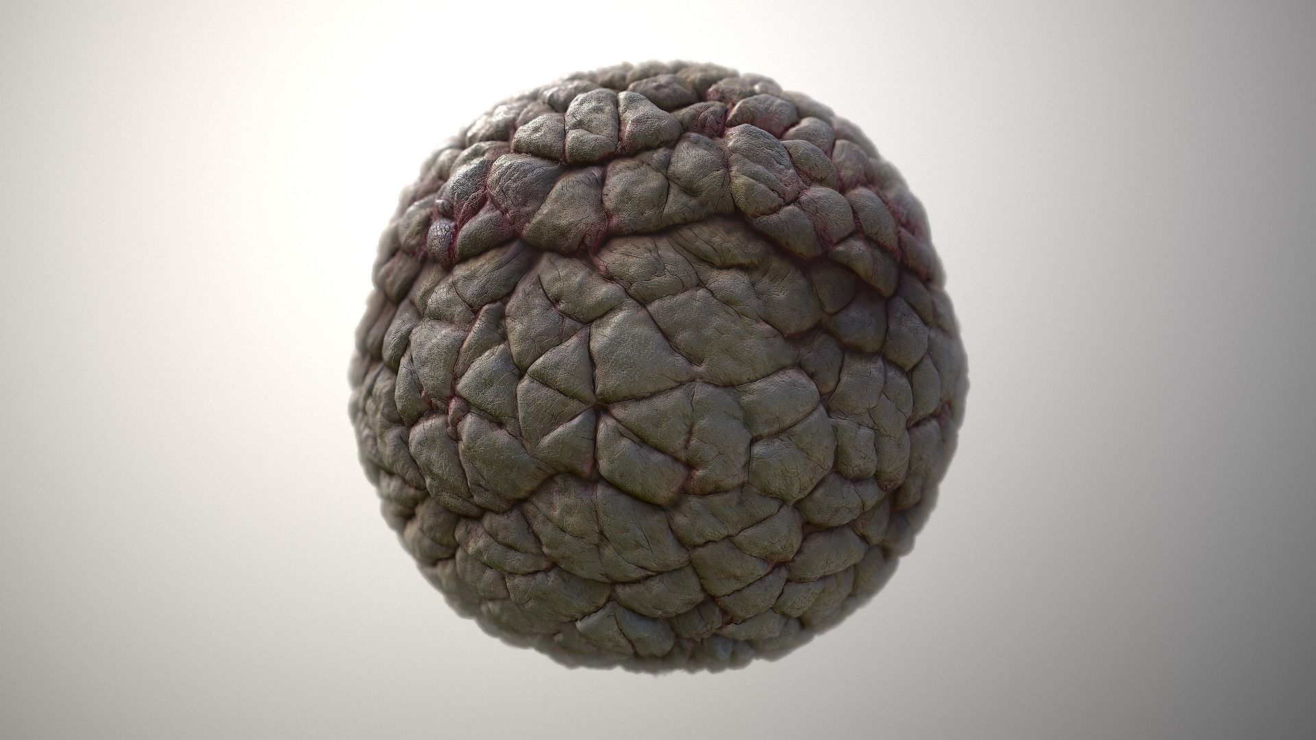 Material Skin Monster 37 Seamless PBR Texture Texture | CGTrader