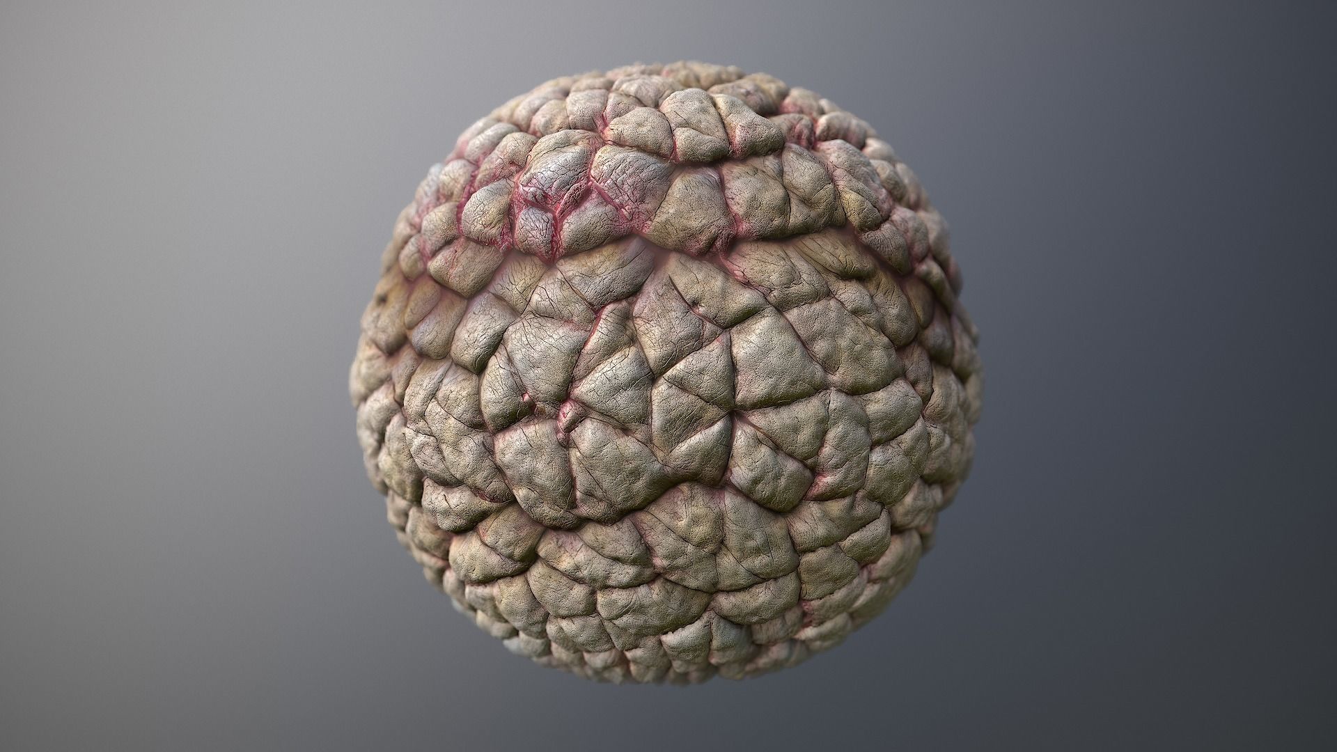 Material Skin Monster 37 Seamless PBR Texture Texture | CGTrader