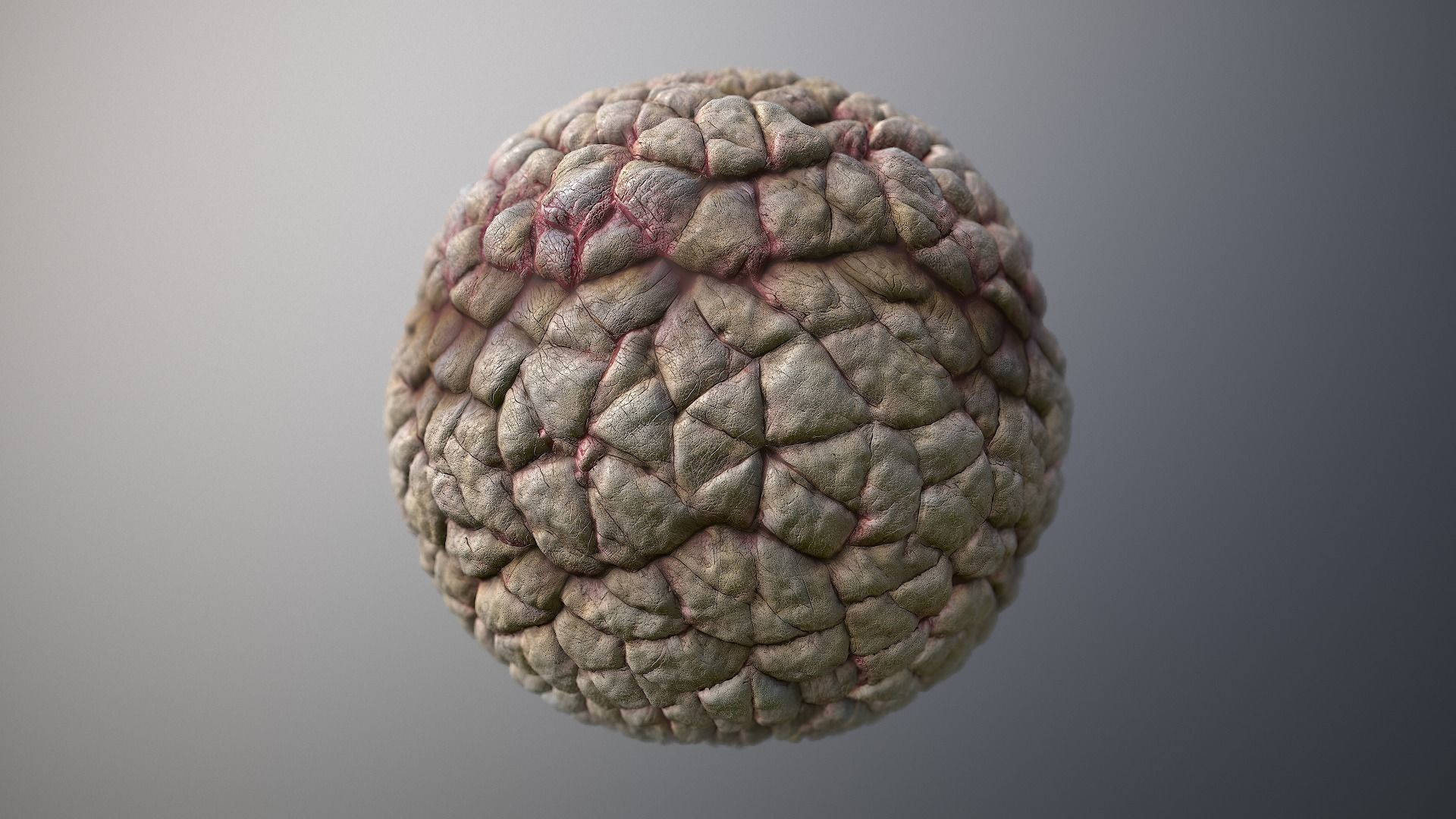 Material Skin Monster 37 Seamless PBR Texture Texture | CGTrader
