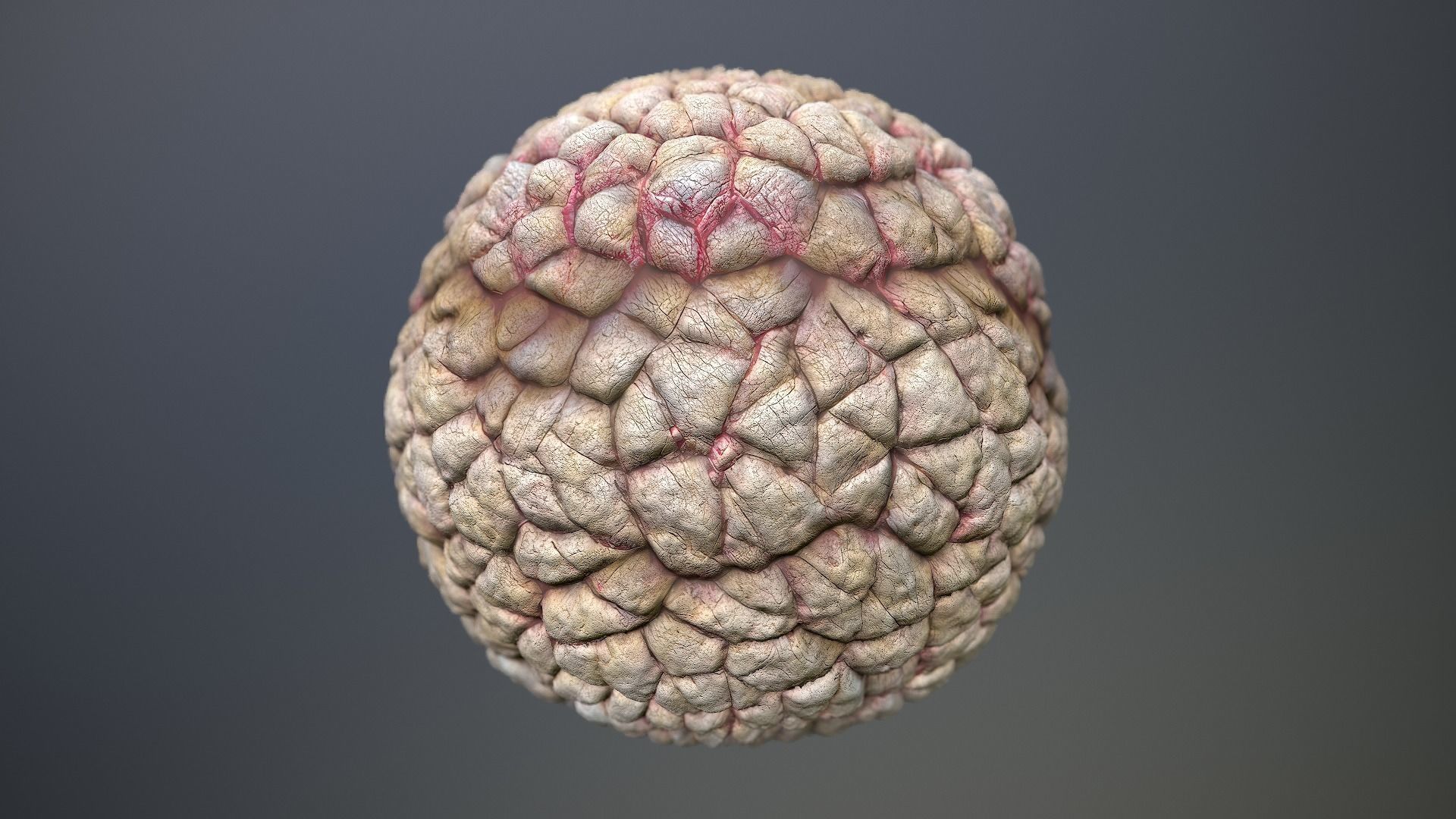 Material Skin Monster 37 Seamless PBR Texture Texture | CGTrader