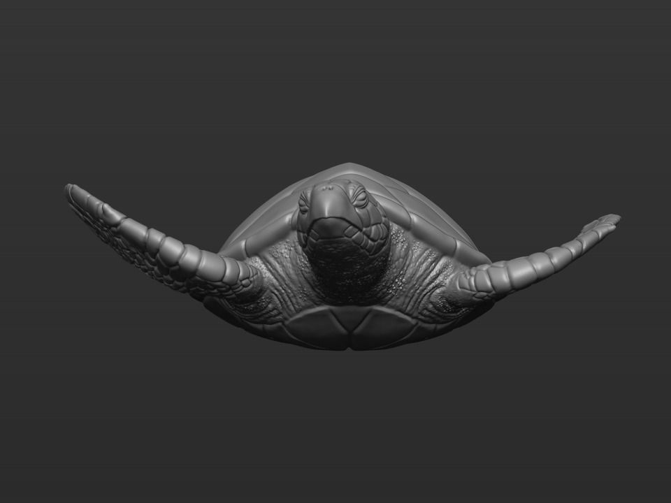 Sea turtle 3D model 3D printable | CGTrader