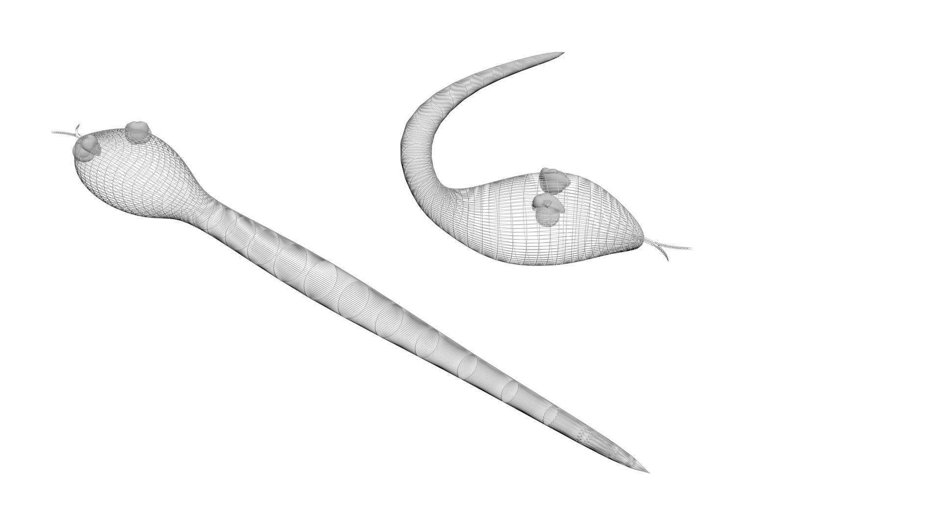 Snake With Straight Snake 3D model | CGTrader