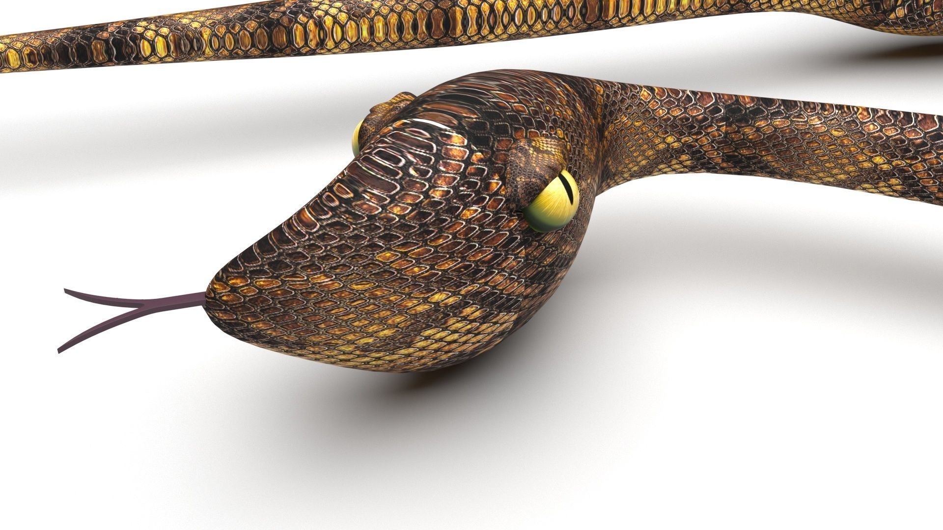 Snake With Straight Snake 3D model | CGTrader