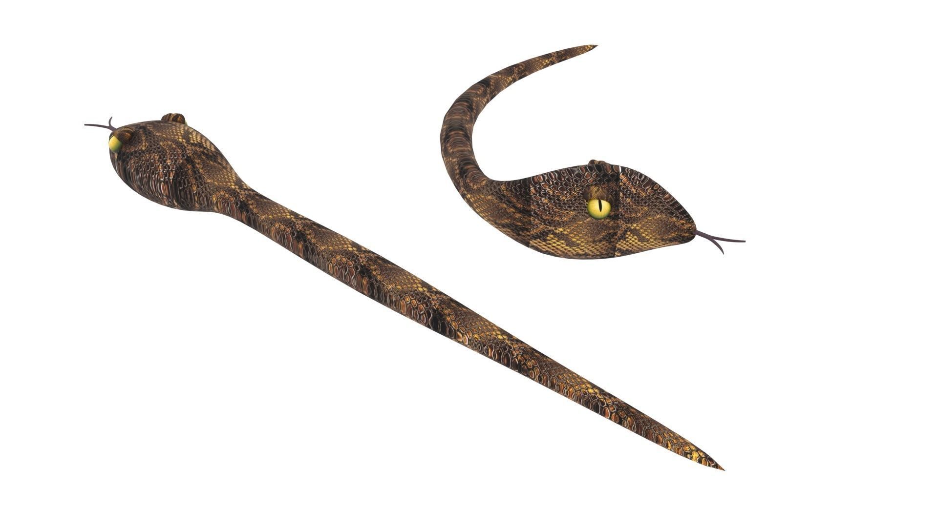 Snake With Straight Snake 3D model | CGTrader