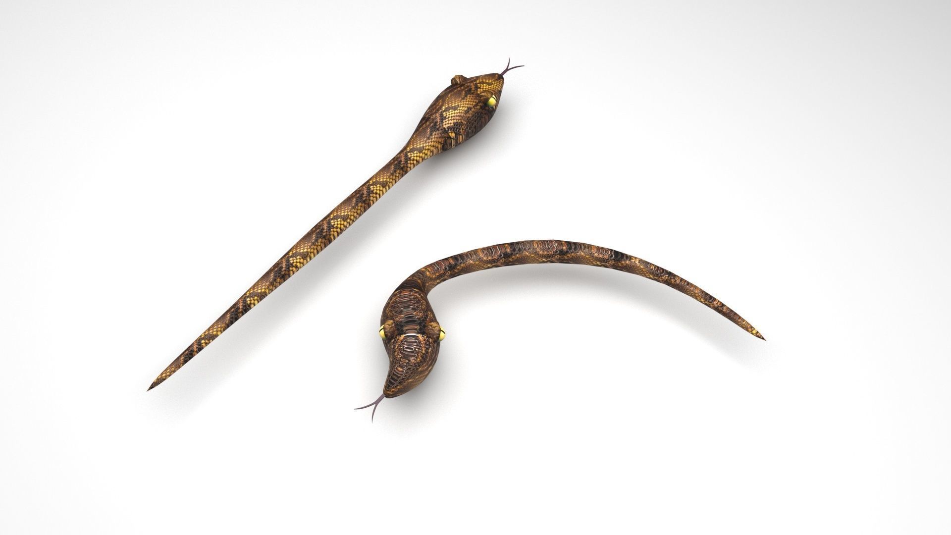 Snake With Straight Snake 3D model | CGTrader