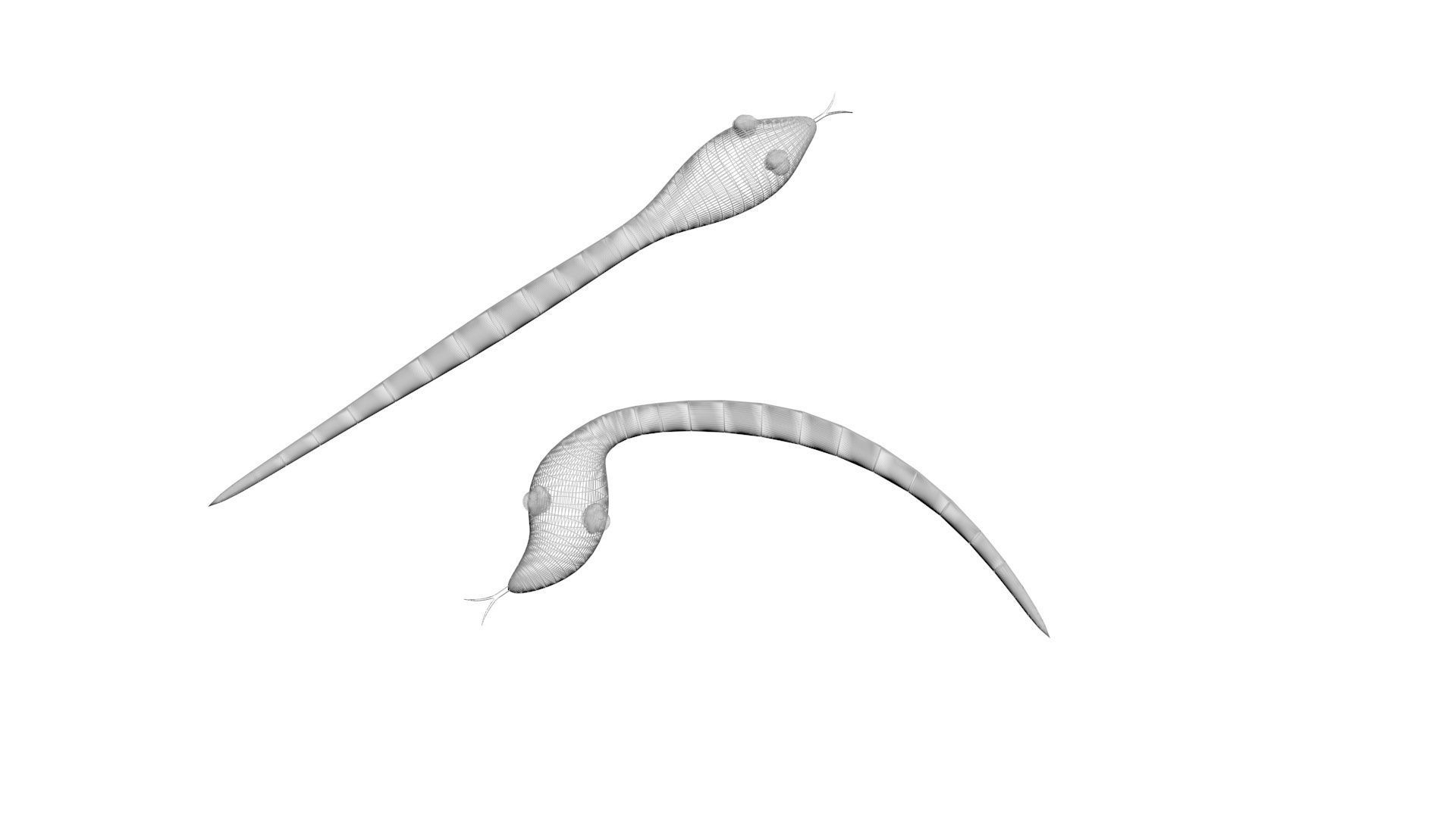 Snake With Straight Snake 3D model | CGTrader