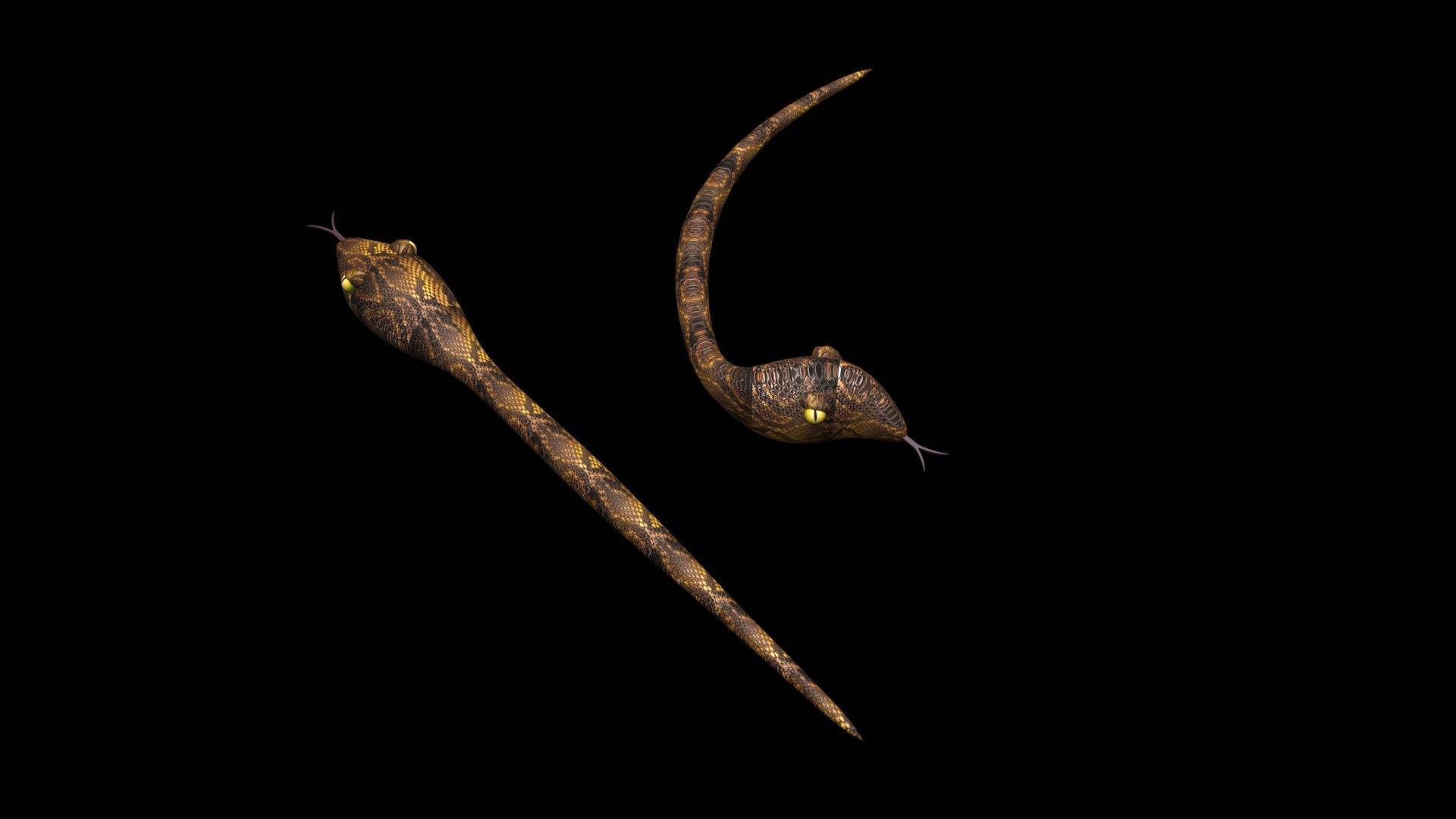 Snake With Straight Snake 3D model | CGTrader