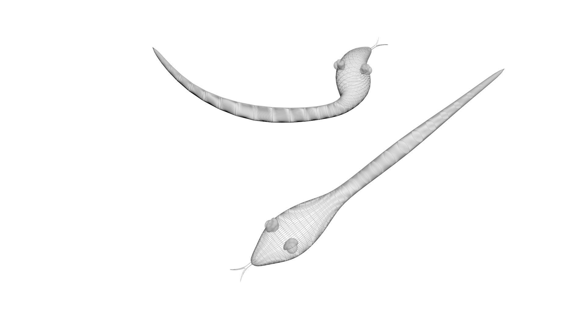 Snake With Straight Snake 3D model | CGTrader