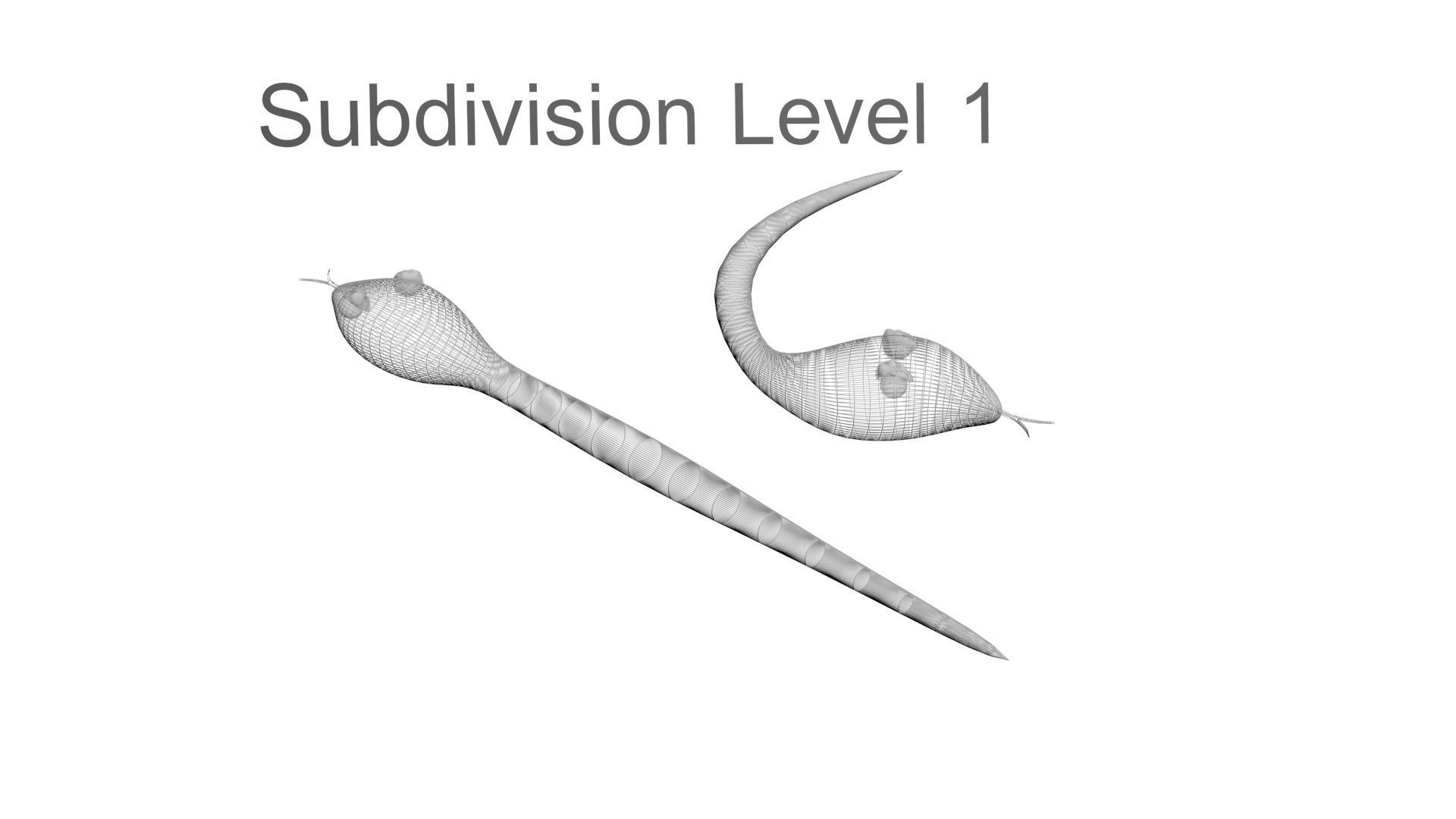 Snake With Straight Snake 3D model | CGTrader