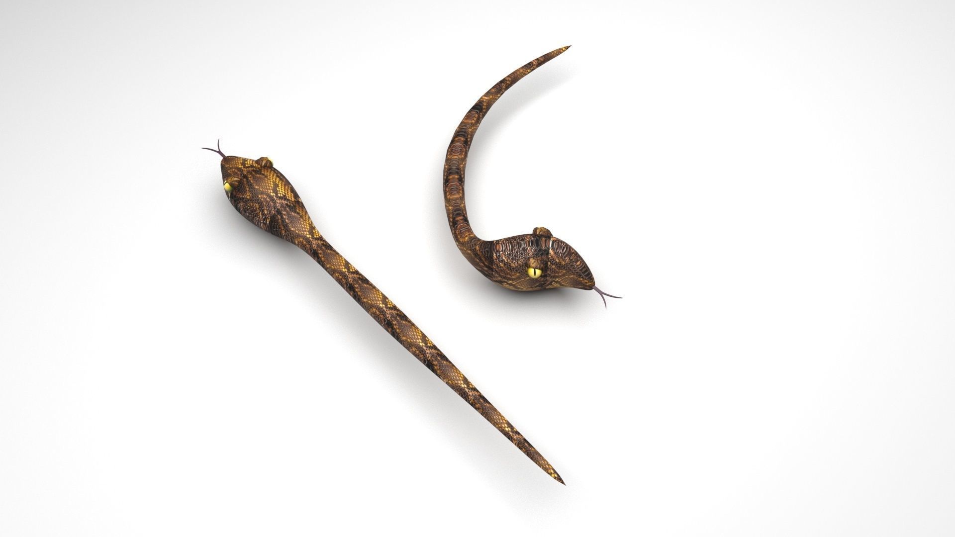 Snake With Straight Snake 3D model | CGTrader