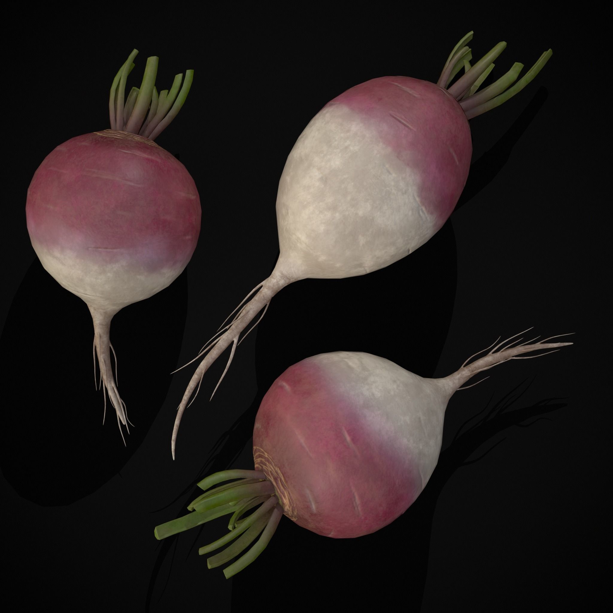 3D model Purple Top White Globe Turnips VR / AR / low-poly | CGTrader