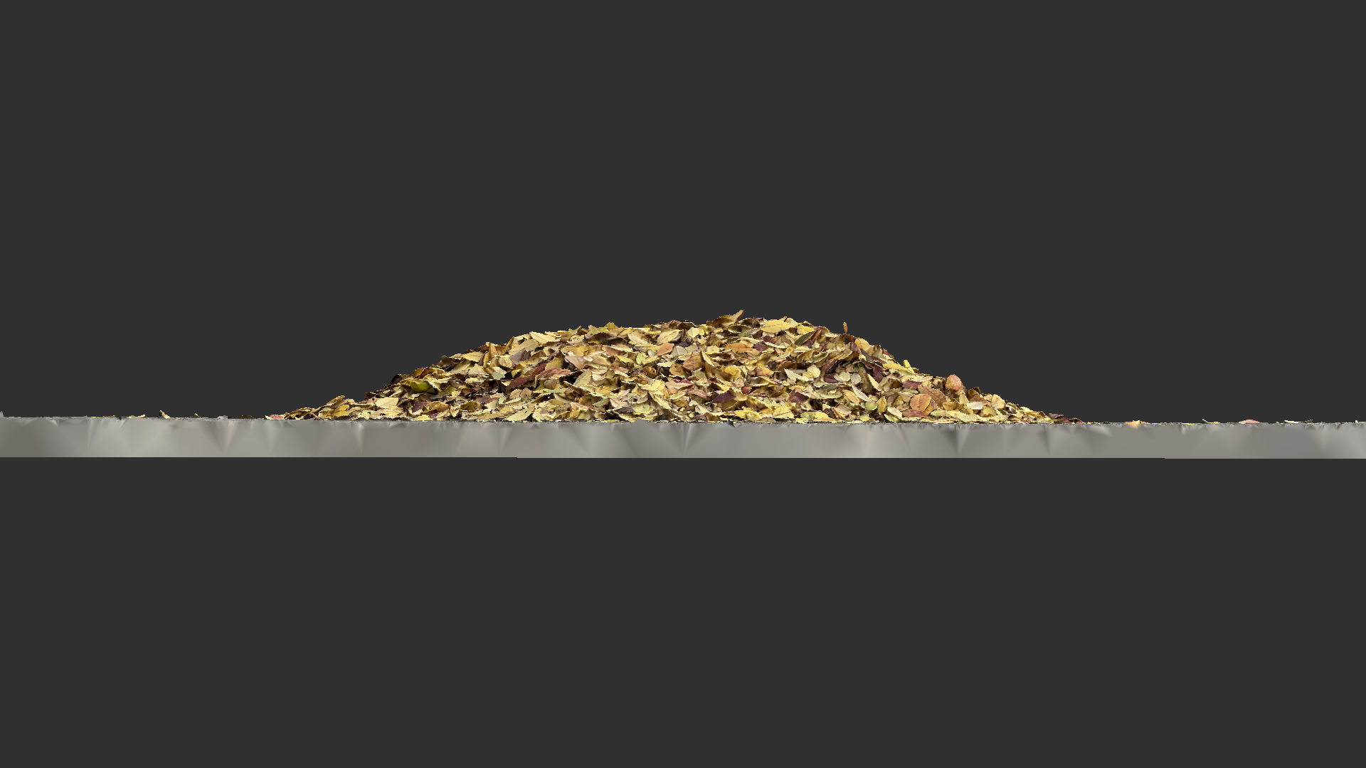Leaves on the ground 3d scan 3D model | CGTrader