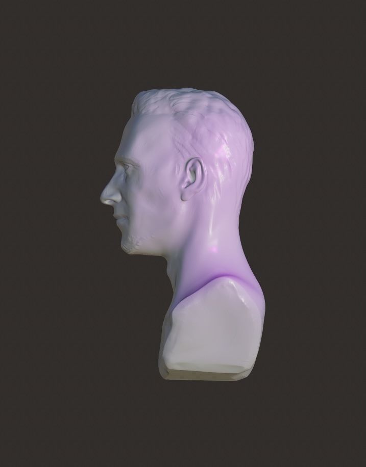 Male bust 3D model | CGTrader