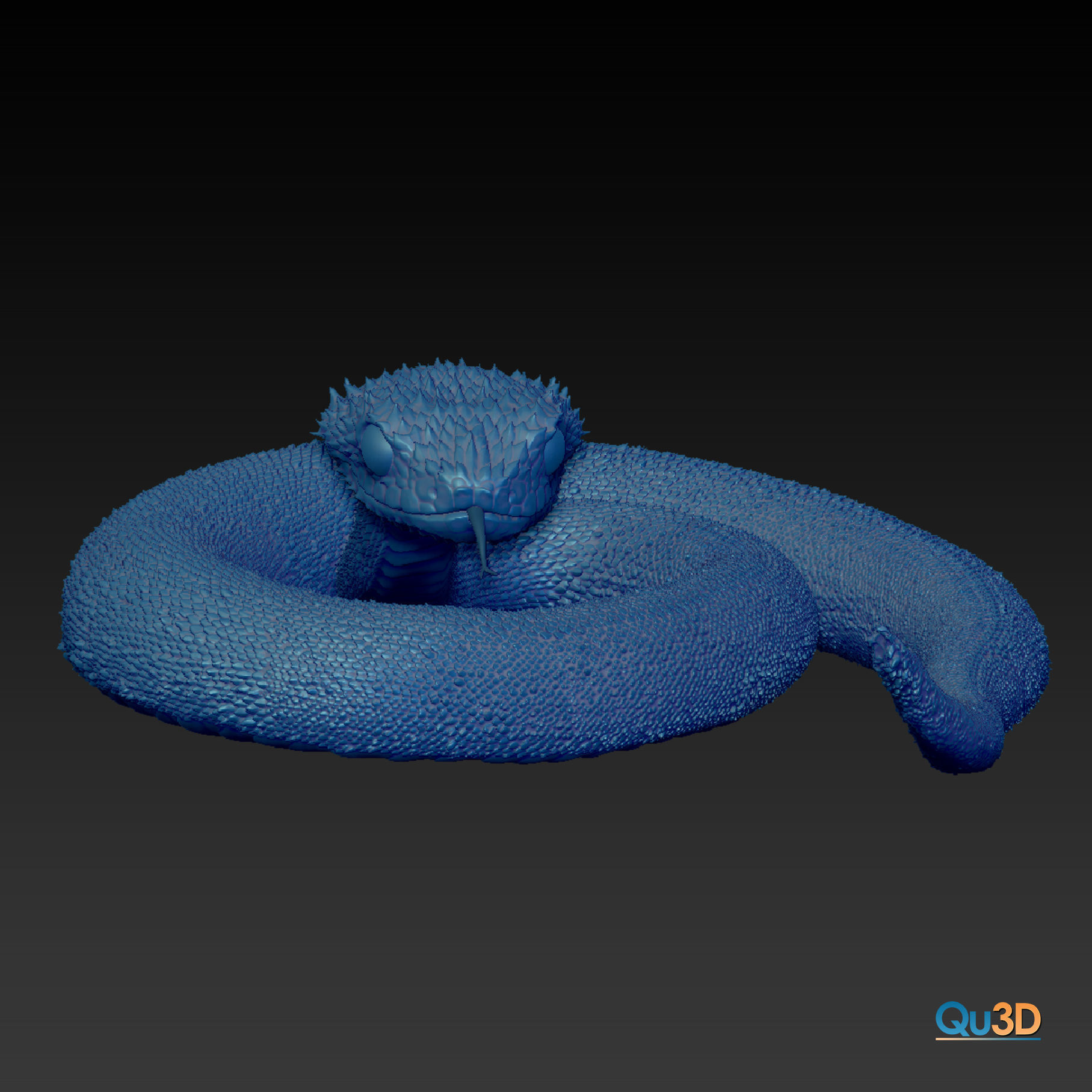 Atheris Snake-High-polygon 3D model full-size texture 3D model | CGTrader