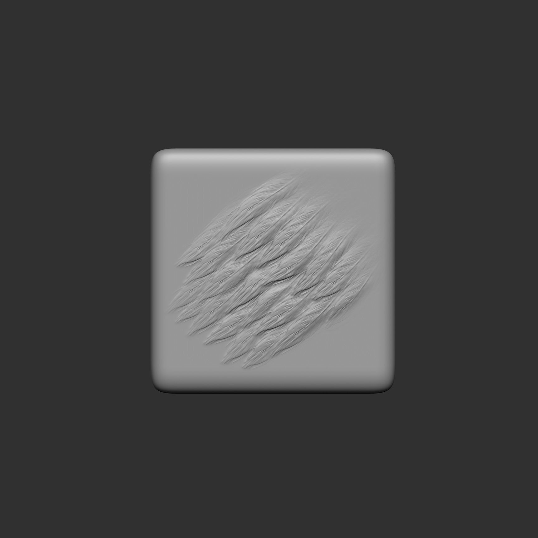 11 Feather alpha maps Texture | CGTrader