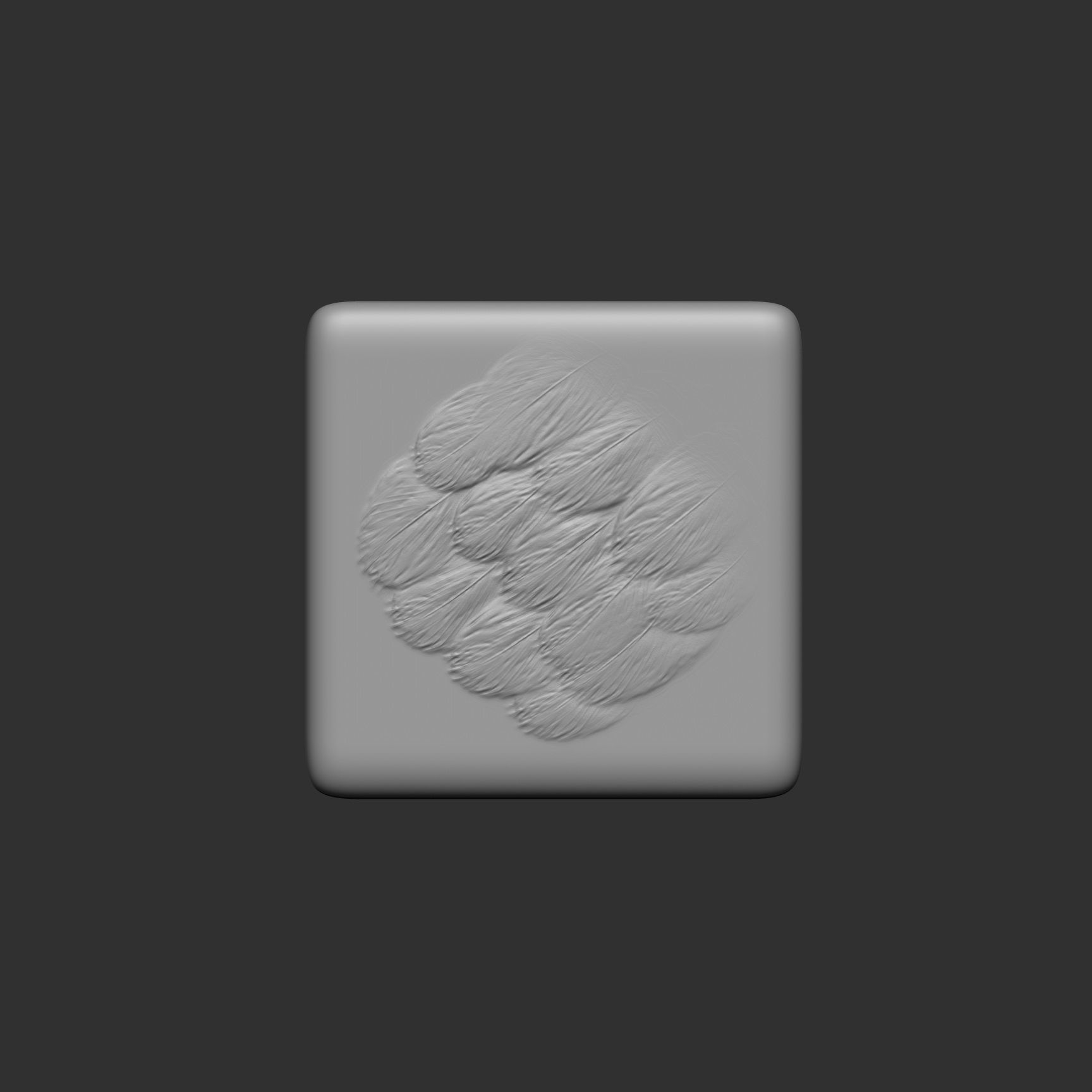 11 Feather alpha maps Texture | CGTrader