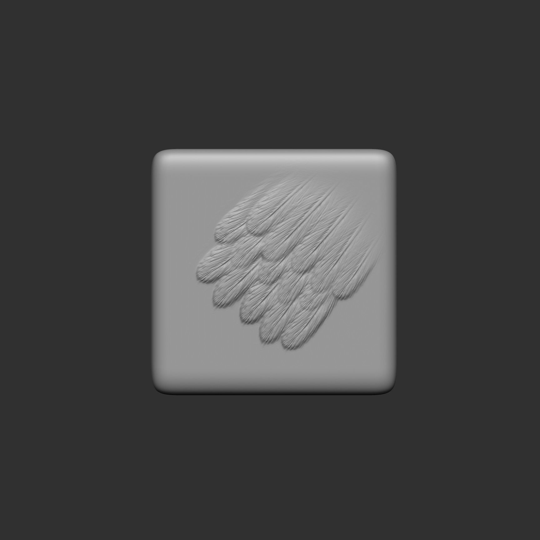 11 Feather alpha maps Texture | CGTrader