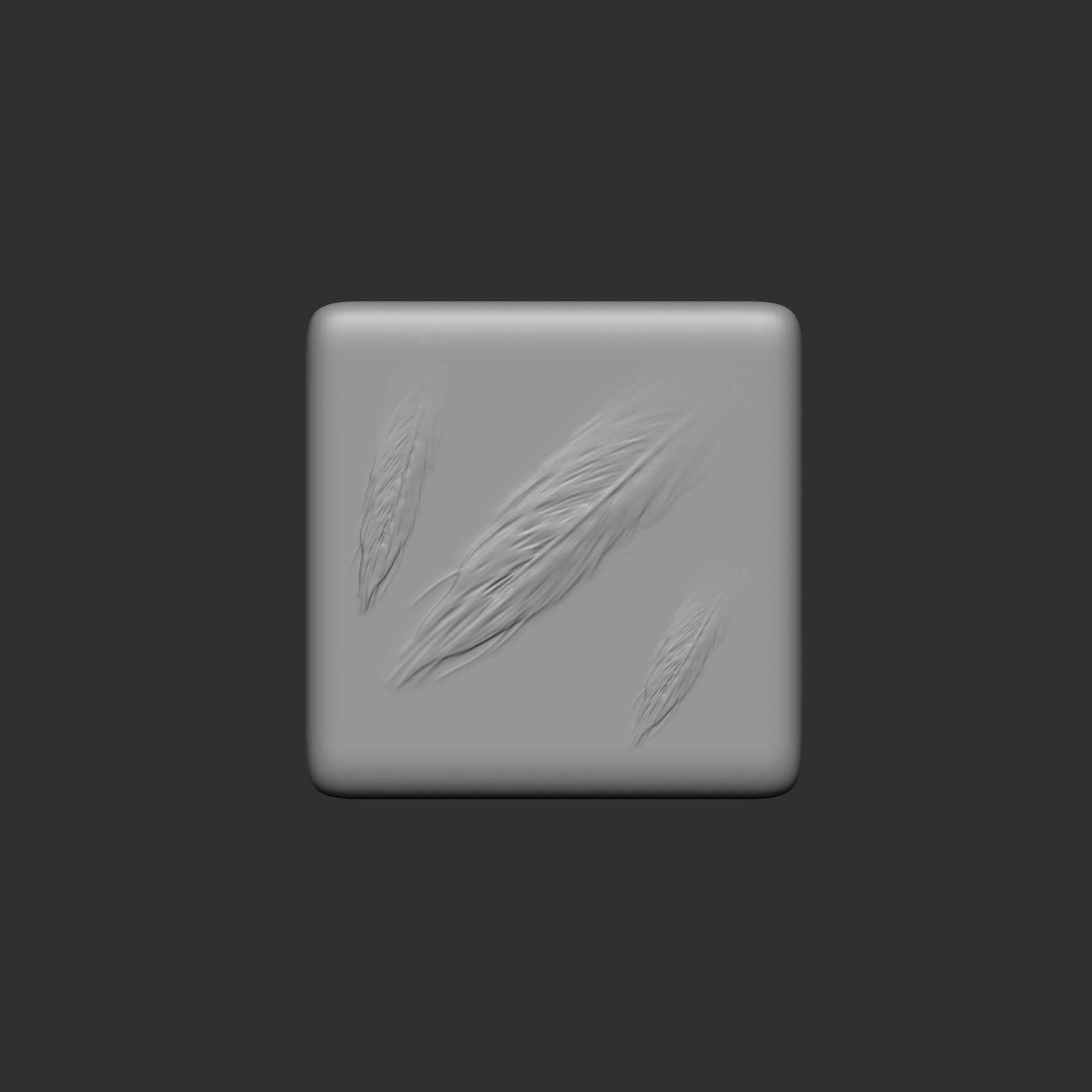 11 Feather alpha maps Texture | CGTrader