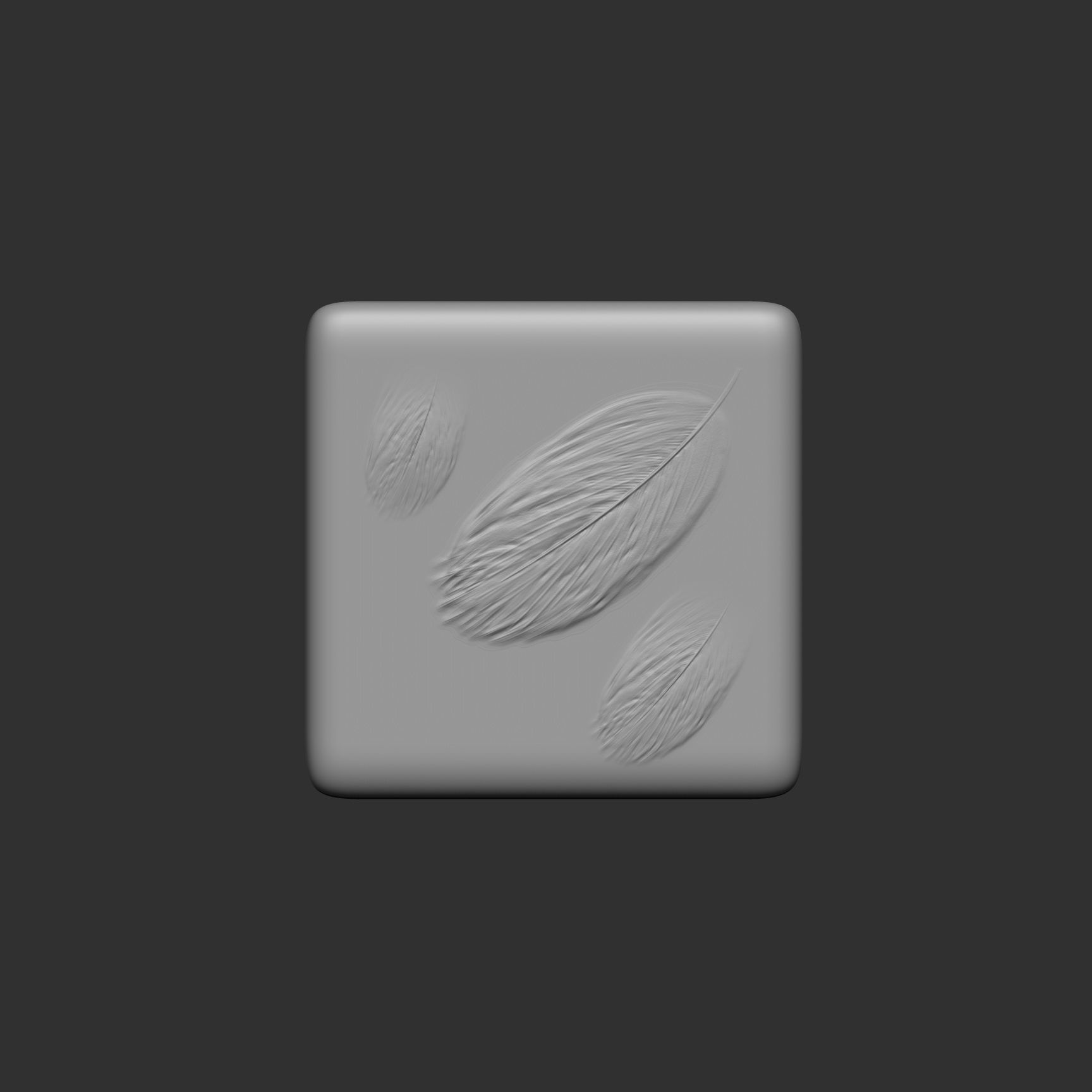 11 Feather alpha maps Texture | CGTrader