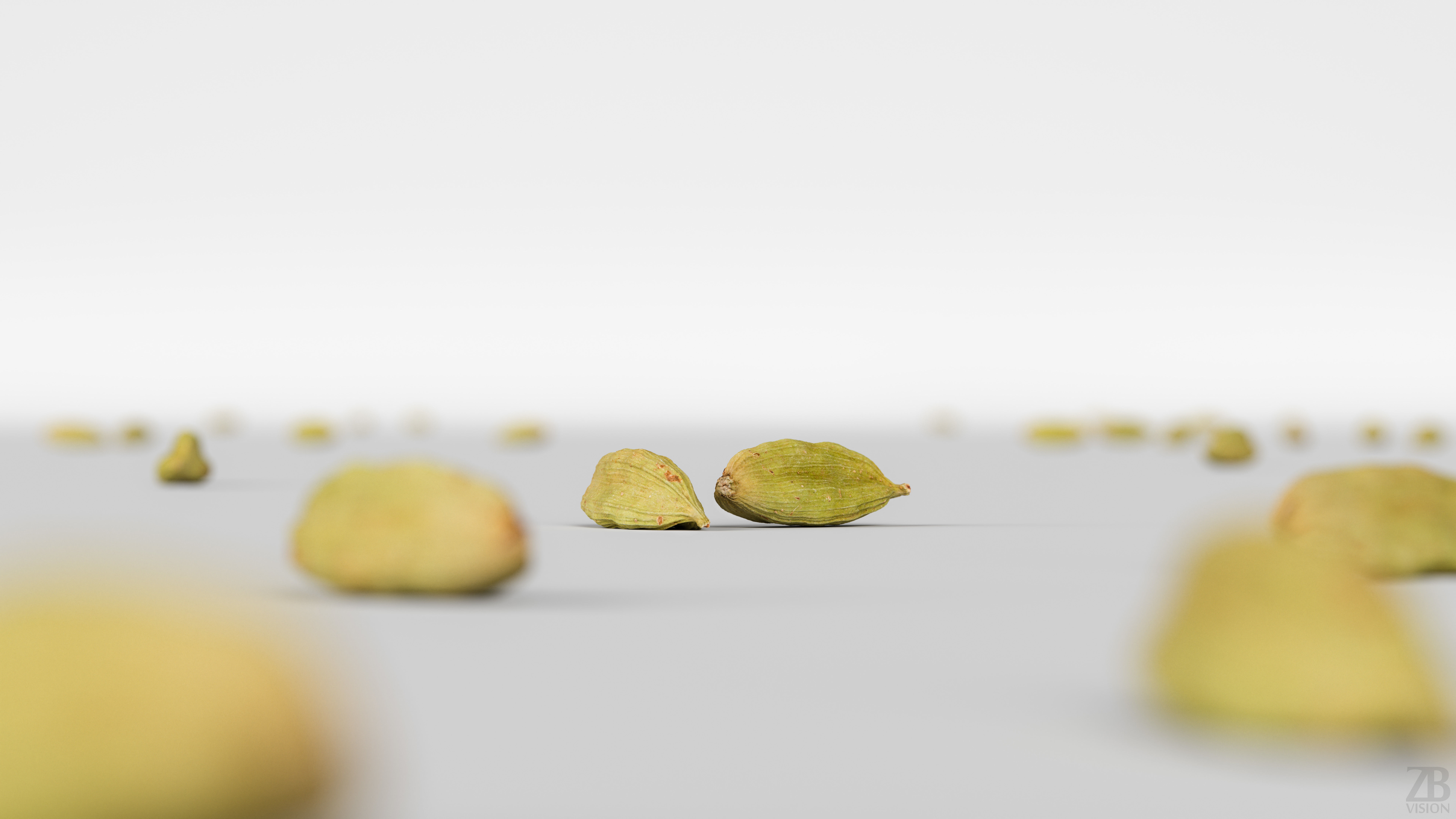 Cardamon 3D model | CGTrader