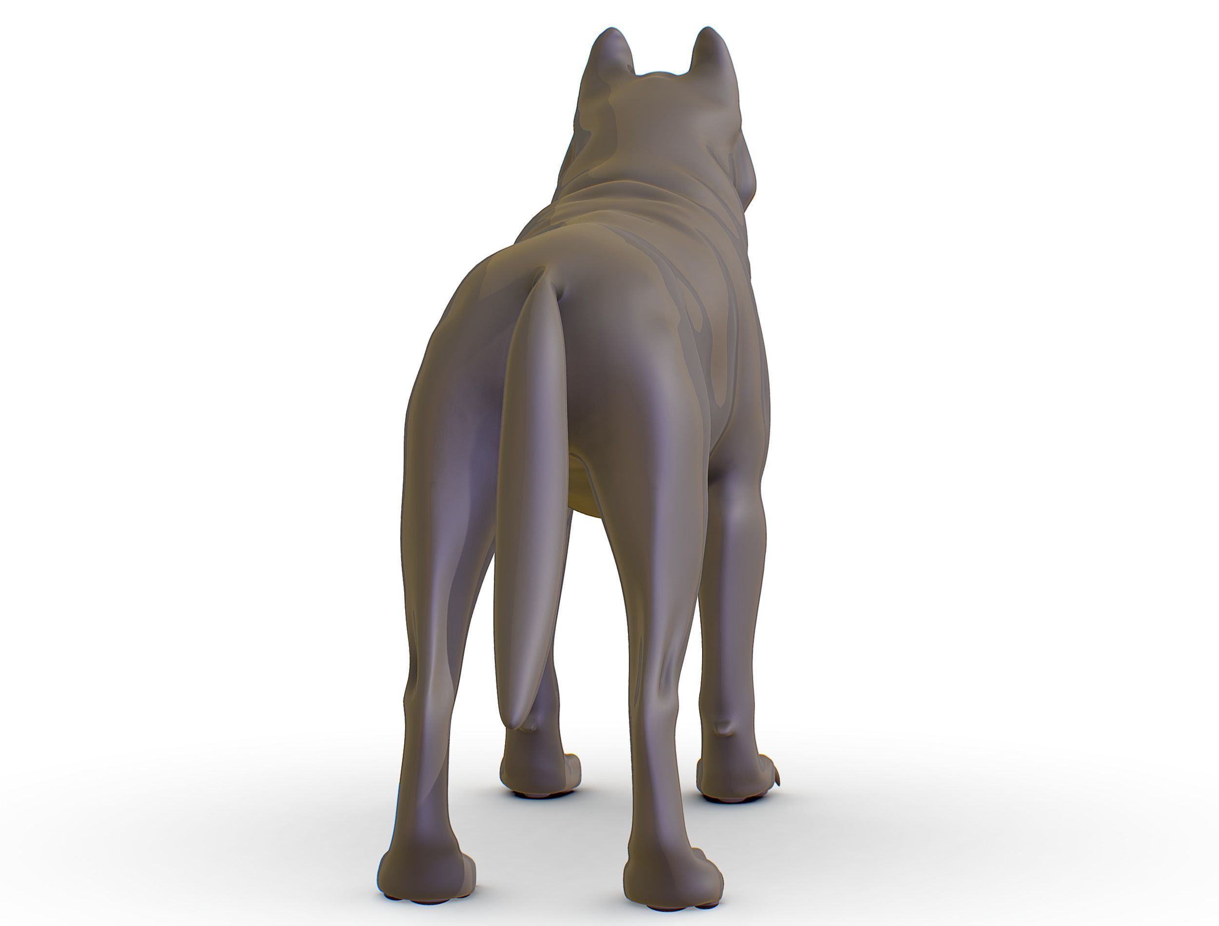 3D model High Poly Model Grey Wolf VR / AR / low-poly | CGTrader