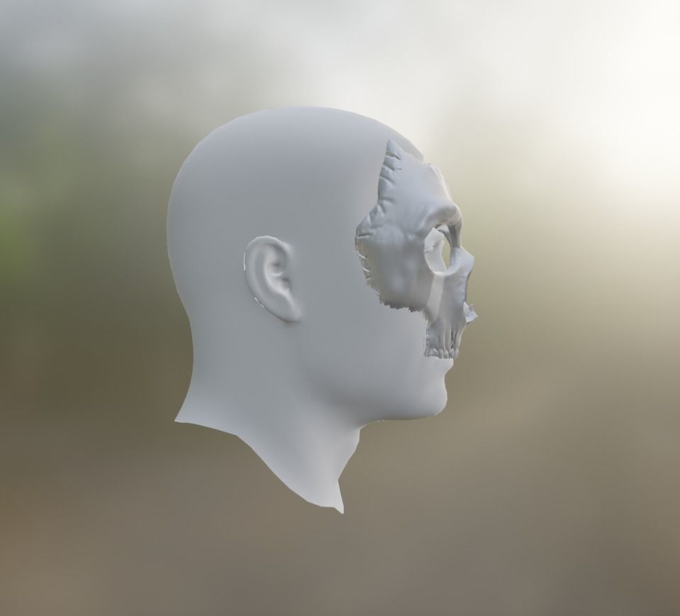Cod Ghost Simon Riley Op Mask Stl Warzone Call Of Duty 3d Model 3d Printable Cgtrader