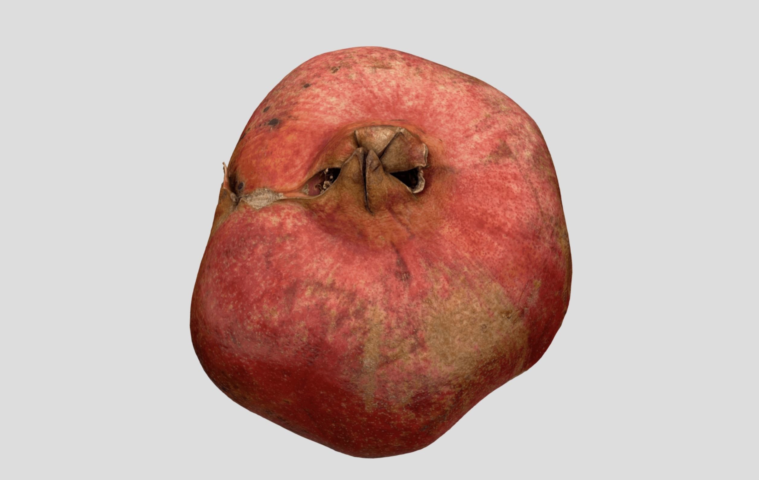 Pomegranate Fruit - HD Scan 3D model | CGTrader