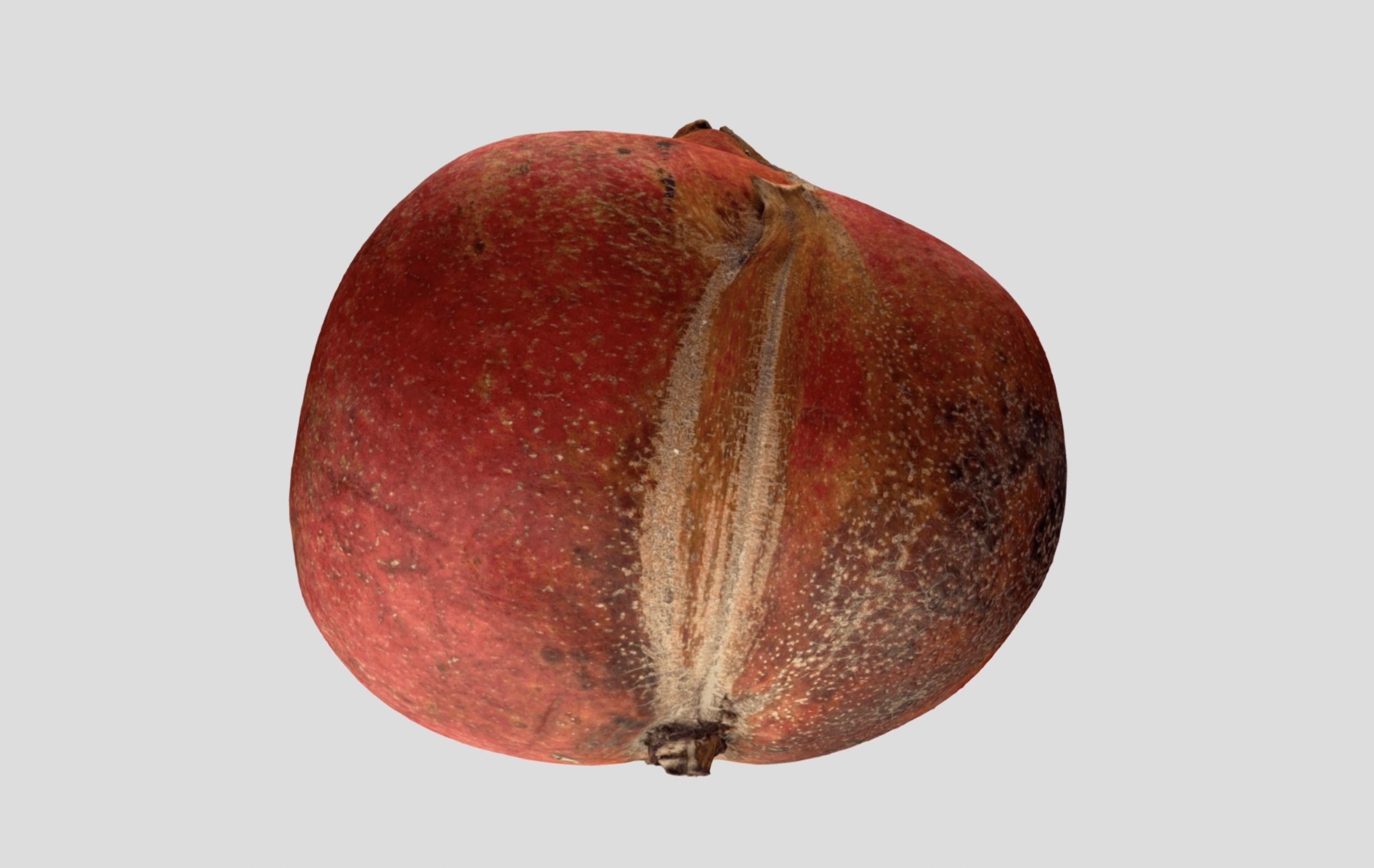 Pomegranate Fruit - HD Scan 3D model | CGTrader