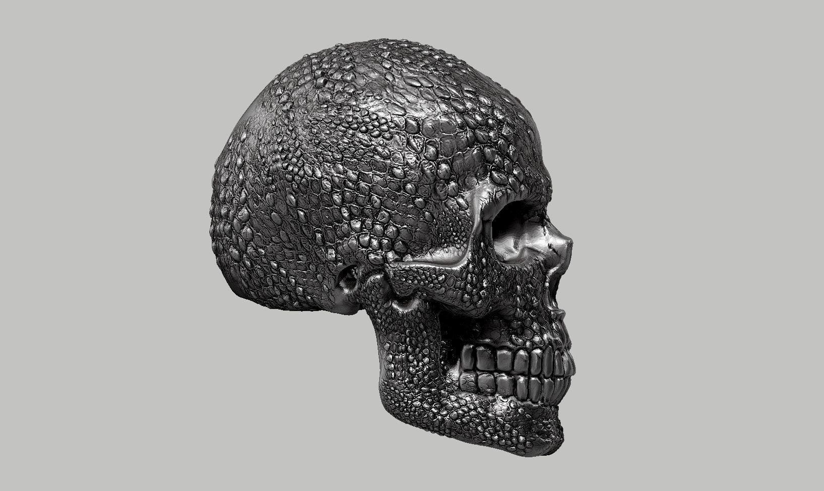 skull snake skin a01 3D model 3D printable | CGTrader